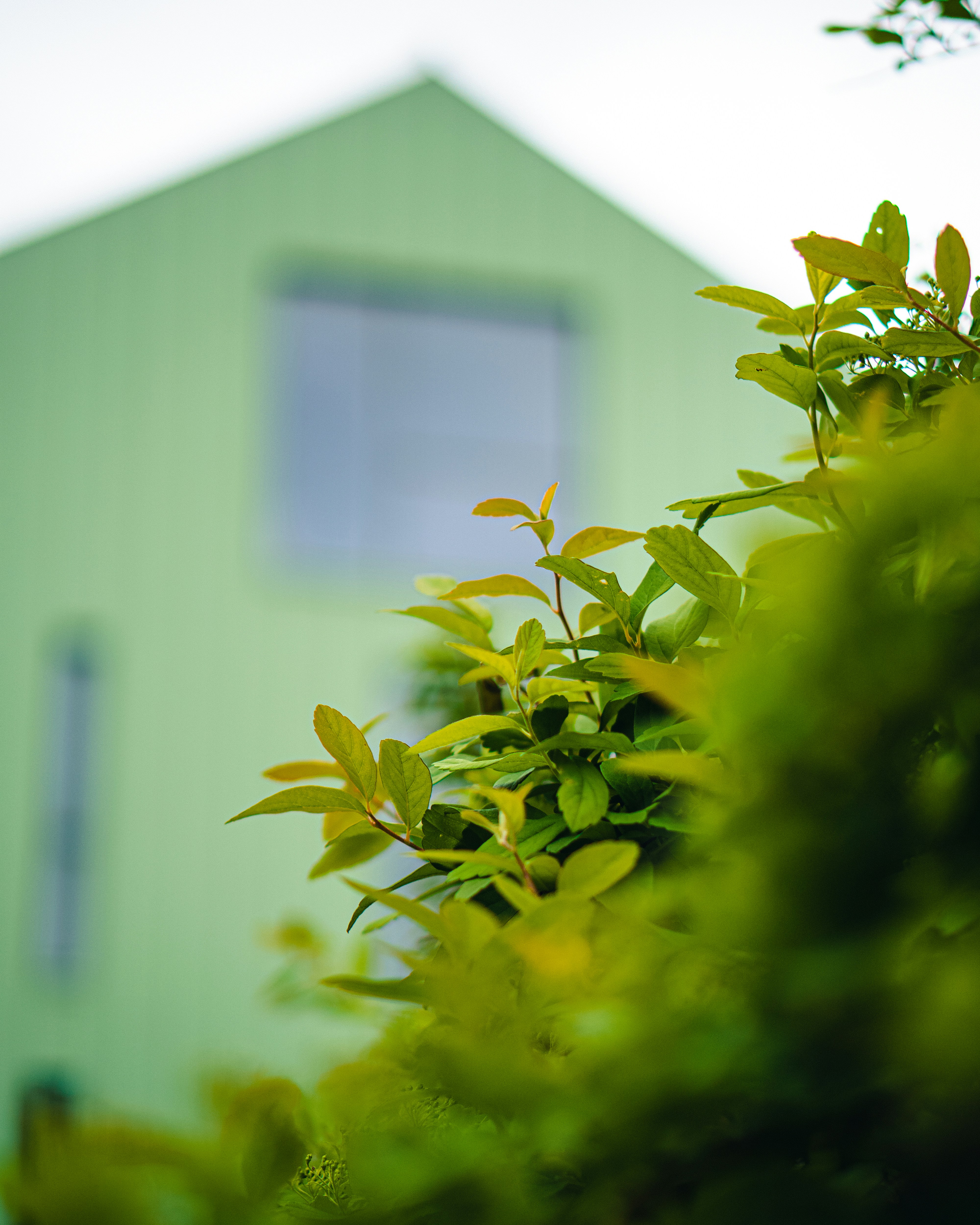 Emerald House in Focus: A Blur of Leaves and Geometry