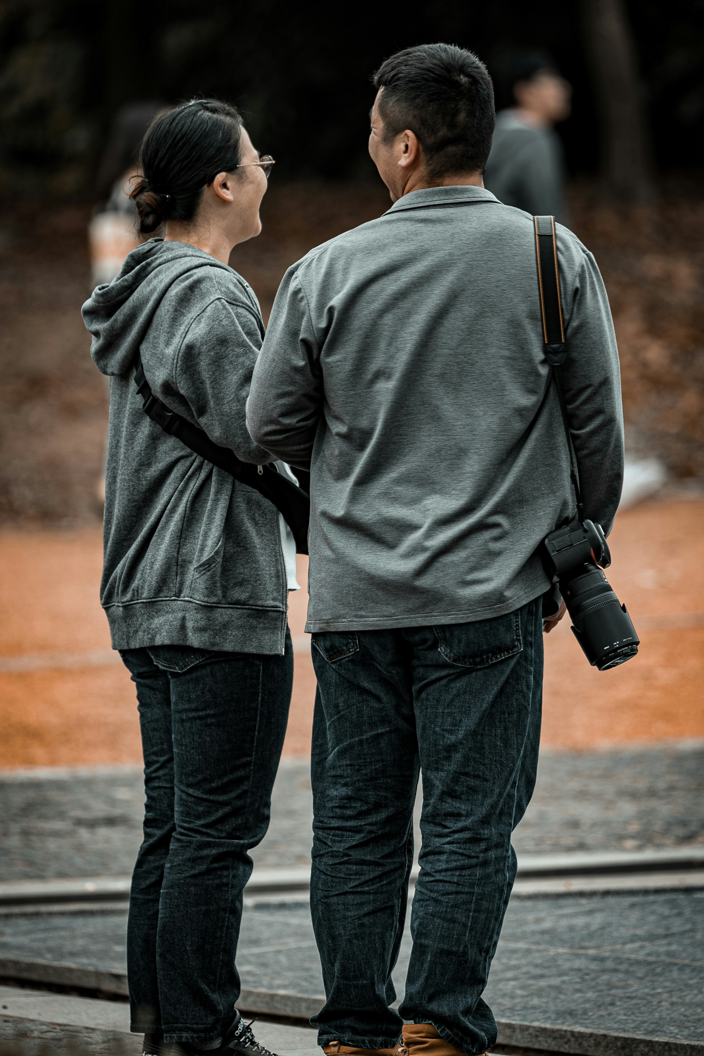 Muted Convergence: A Gray-hooded Moment by the Path