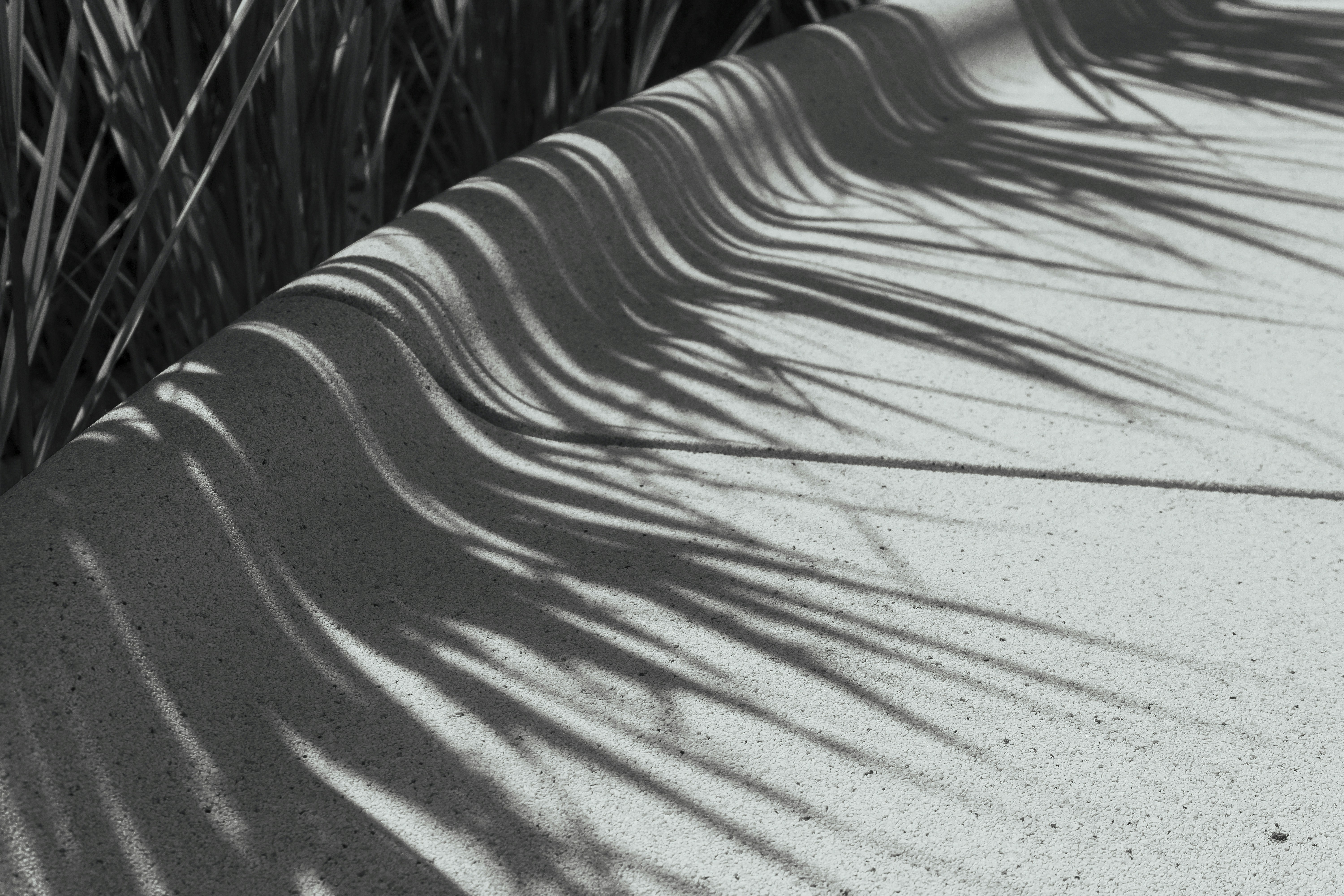 A close up of a person's shadow photo – Free Grey Image on Unsplash