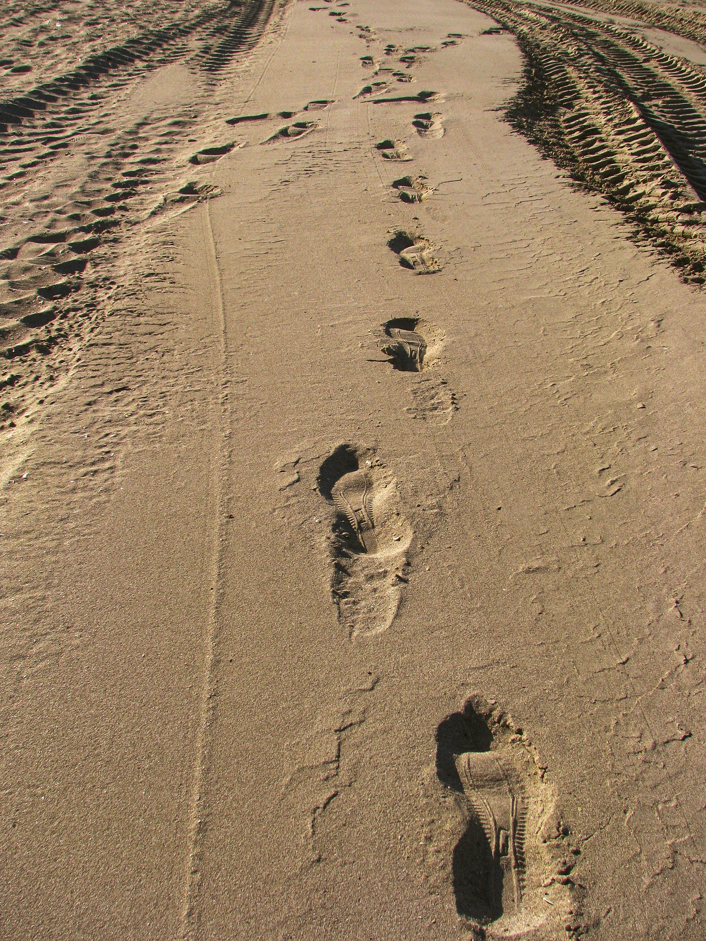 A group of footprints in the sand photo – Free Walk on the beach Image ...