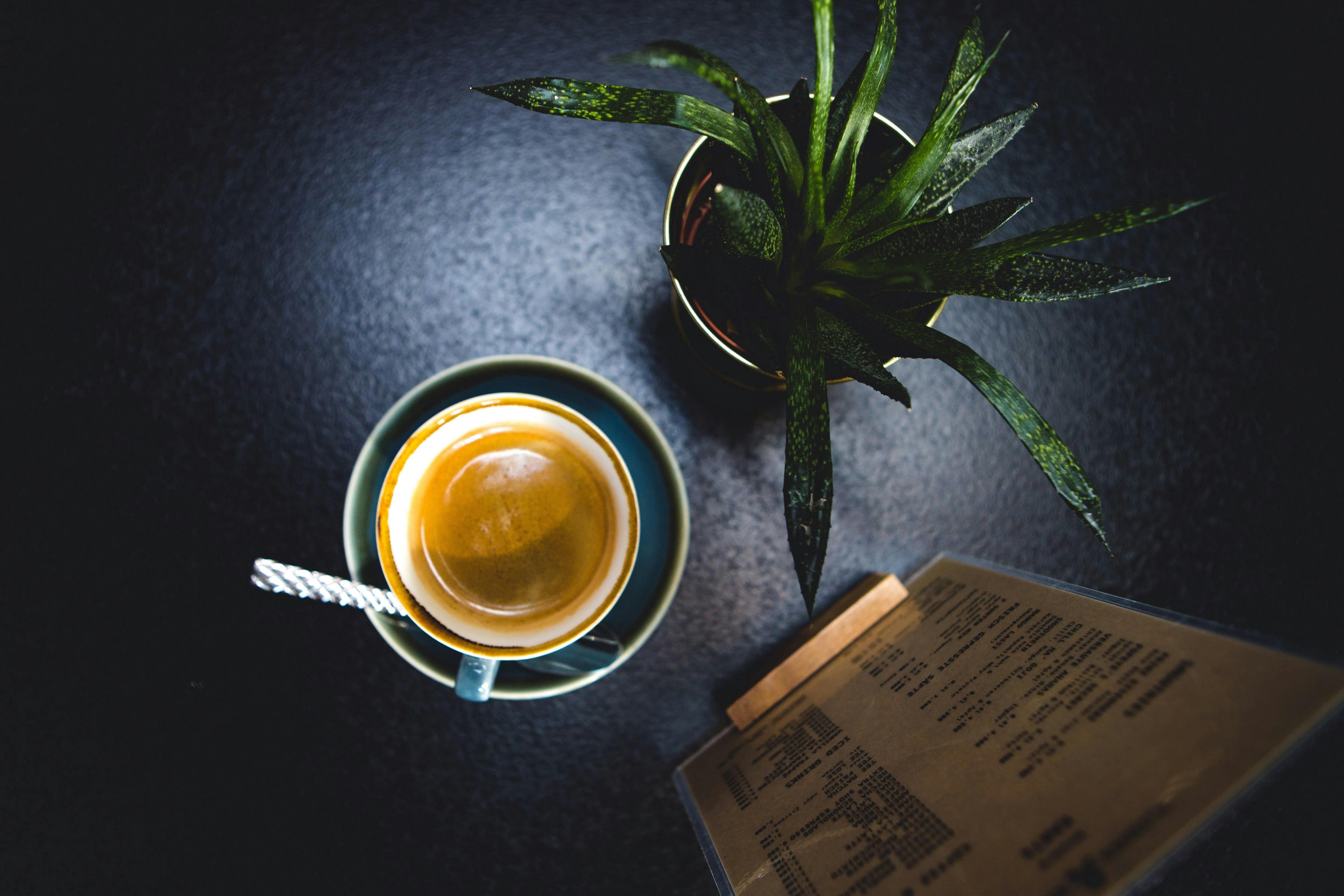 a cup of tea and a plant