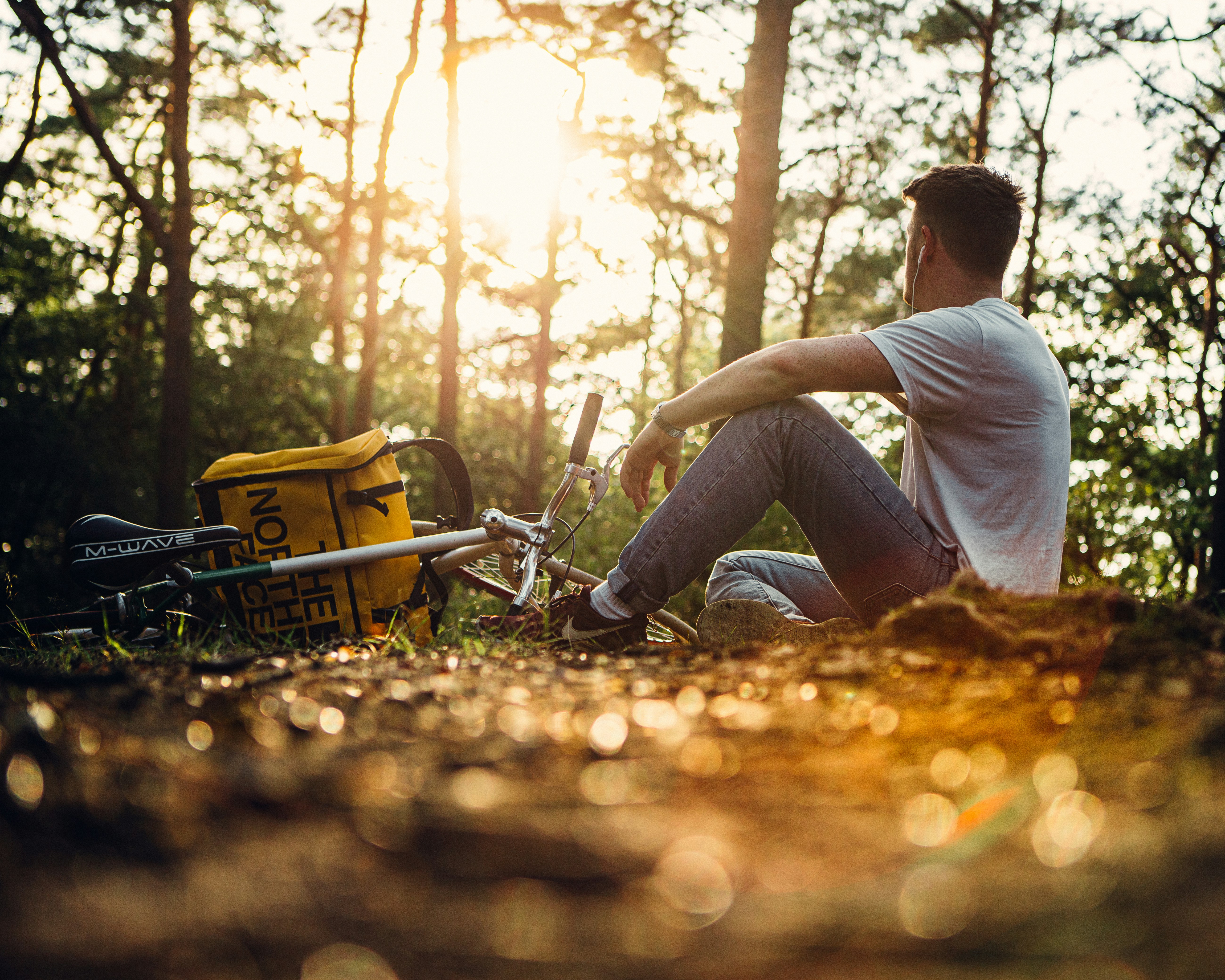 Amber Hour Pause: A Rider Resting by a Forest Bicycle