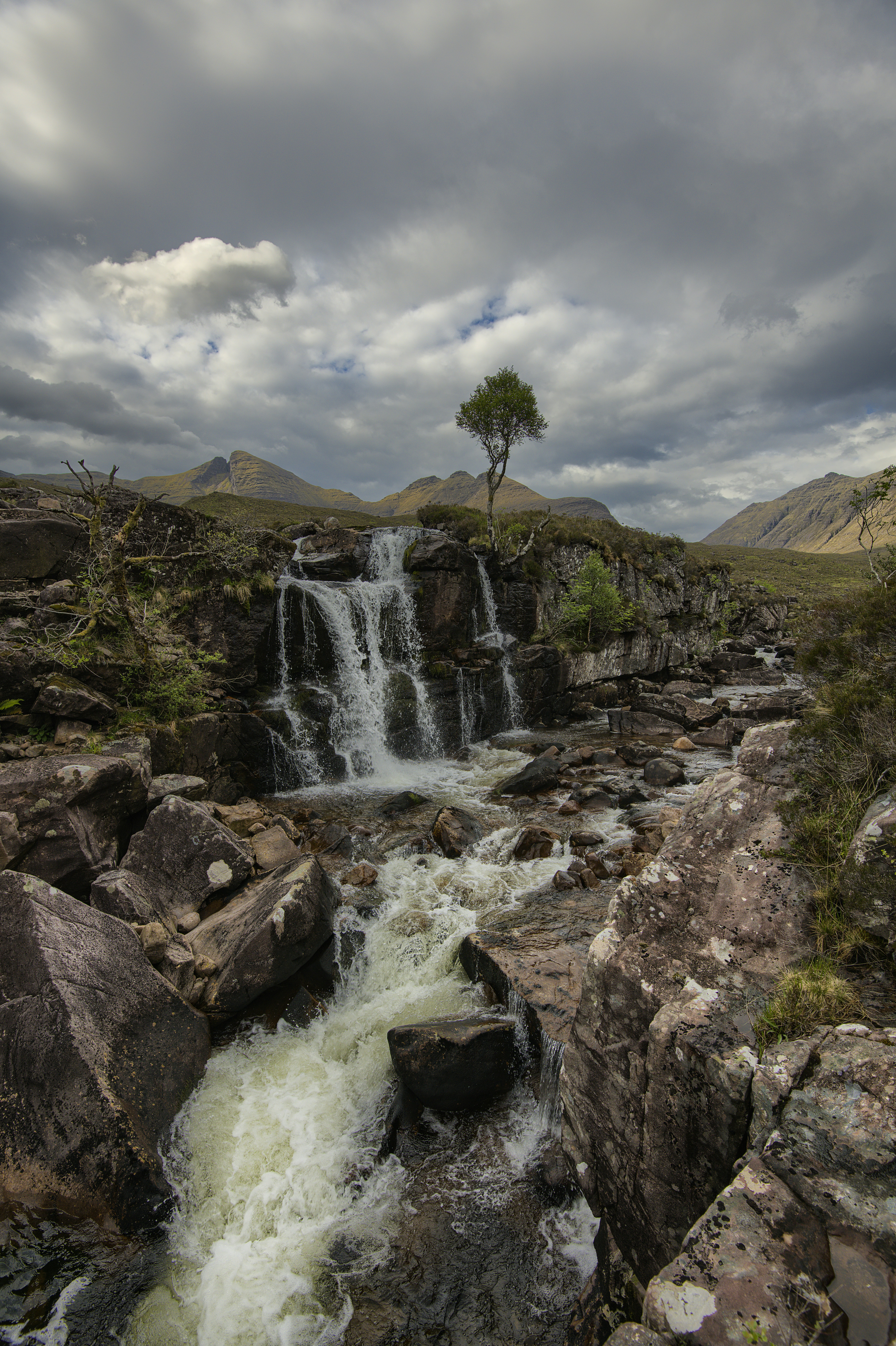 Lone Tree Over a Rugged Cascade: Moorland in Mist