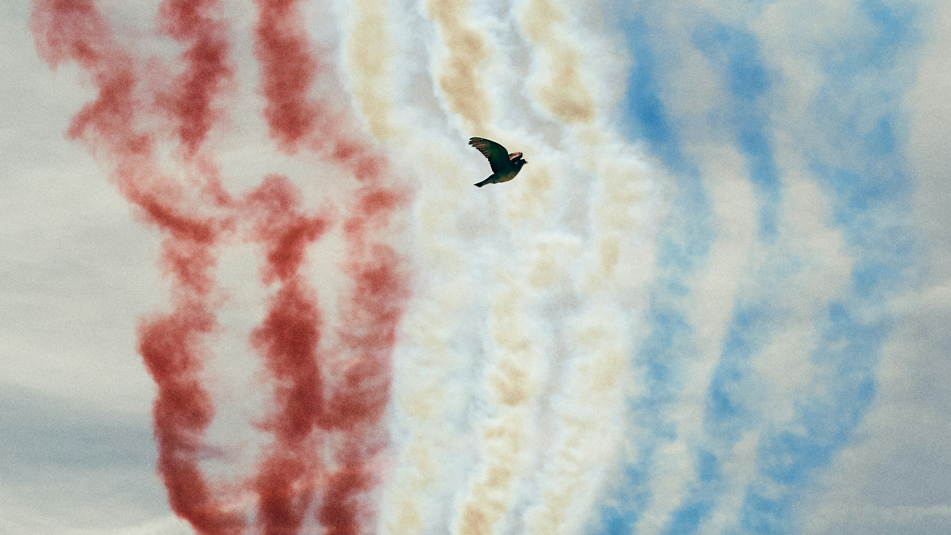 A bird soars through vibrant trails of red, white, and blue smoke against a cloudy backdrop. The scene captures the thrill of aerial displays.