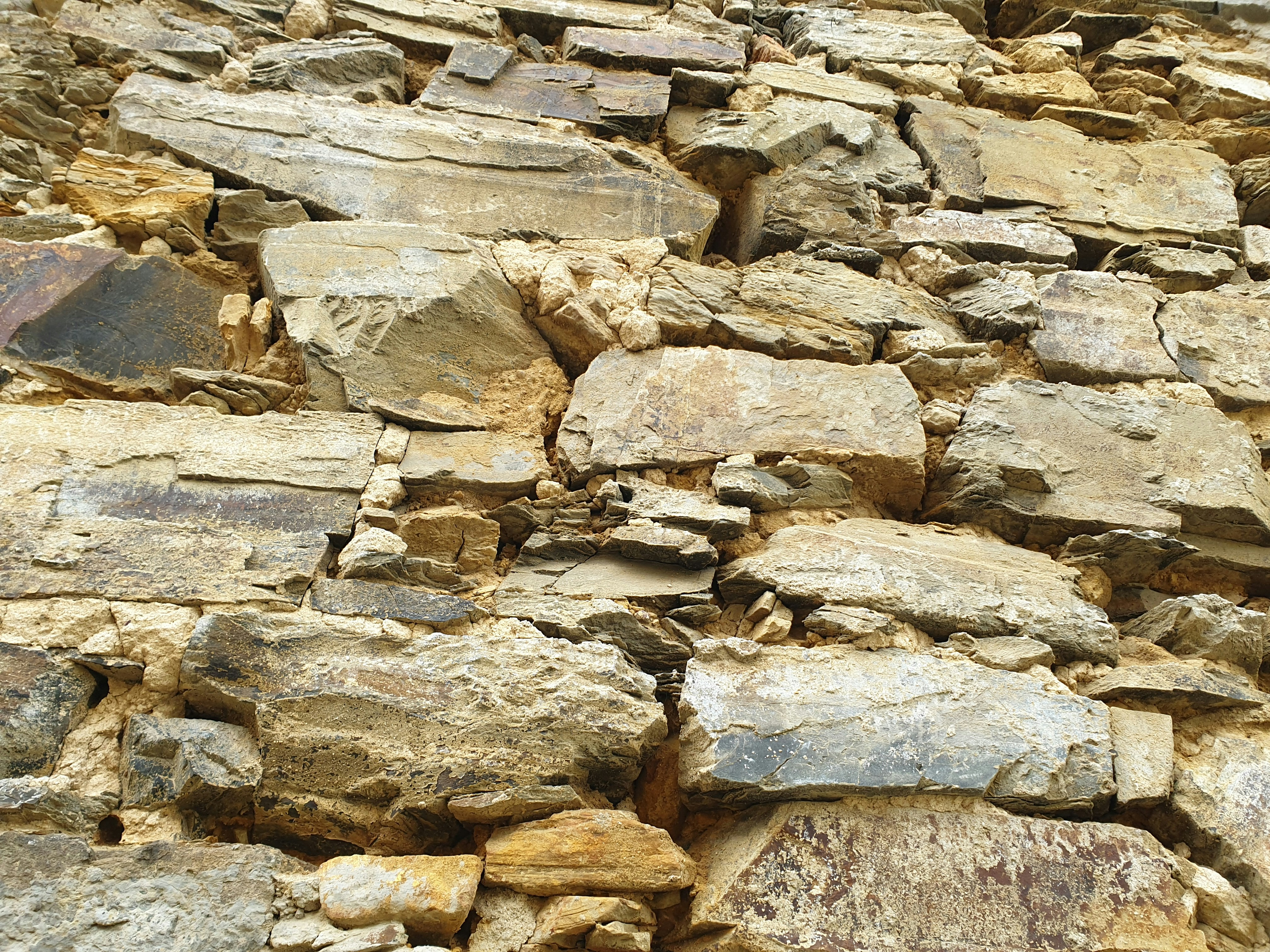 Nature's Mosaic: The Artistry of Stone