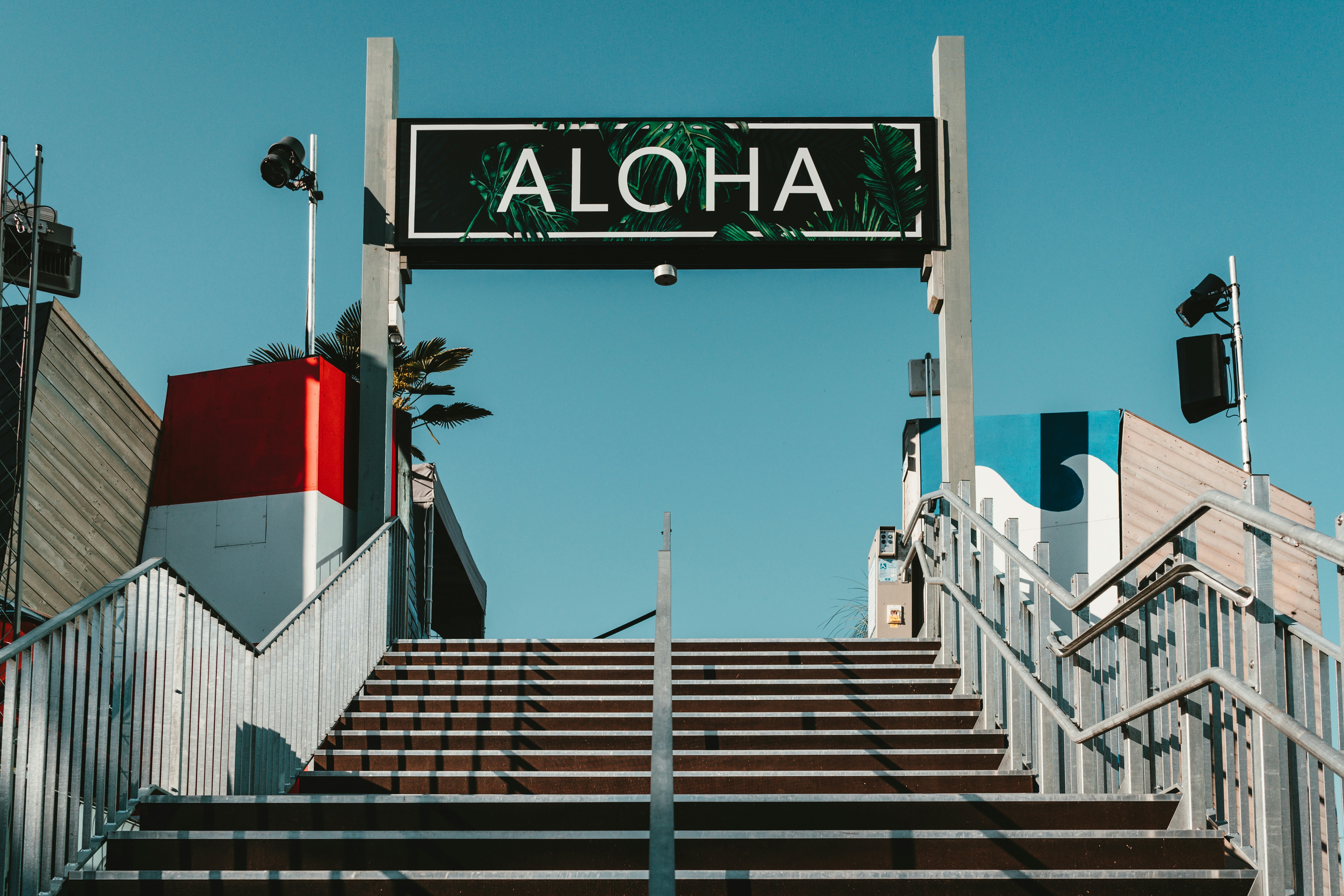 Aloha Pictures | Download Free Images on Unsplash