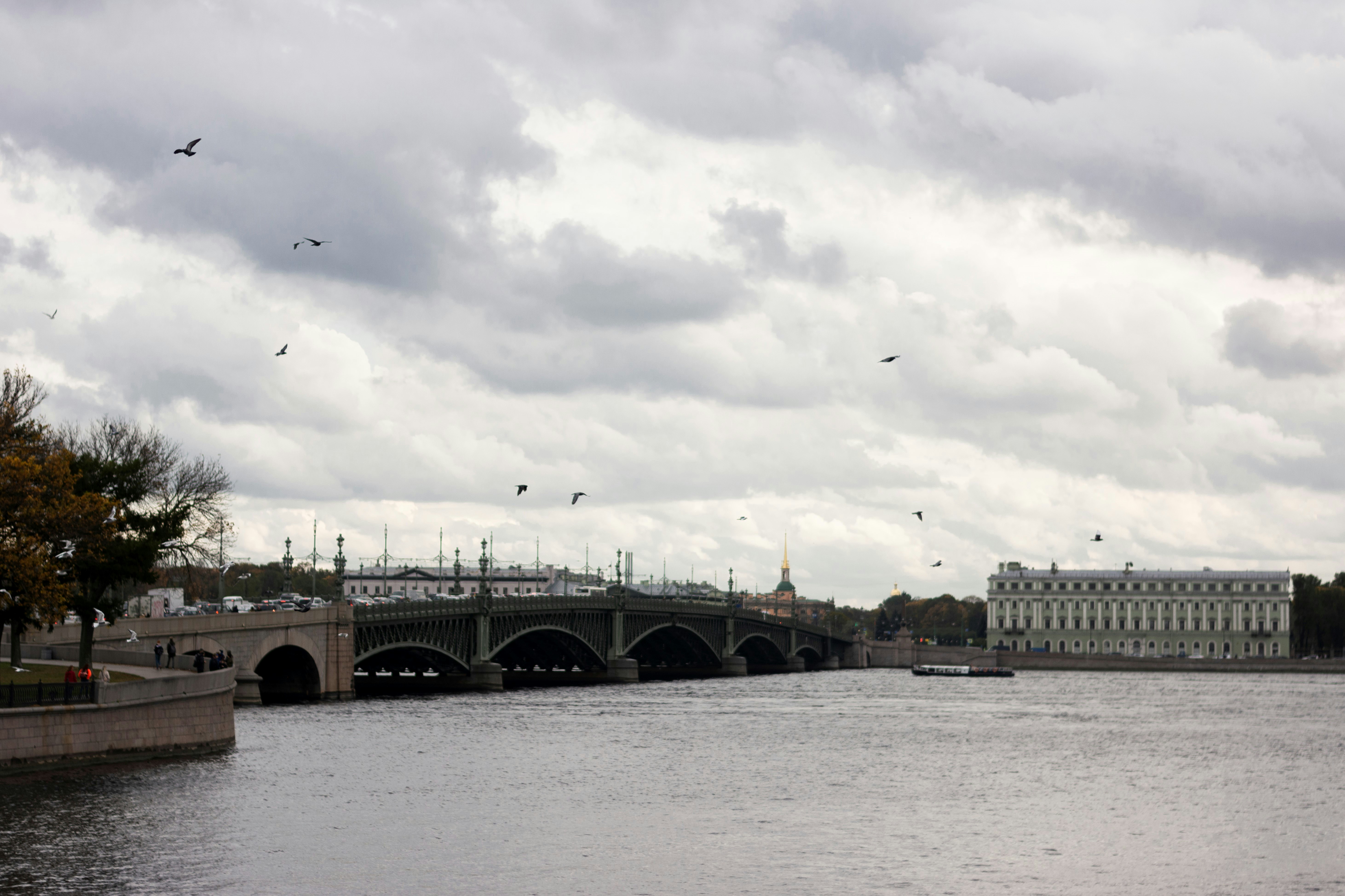 Riverside Bridge Framed by Overcast Sky