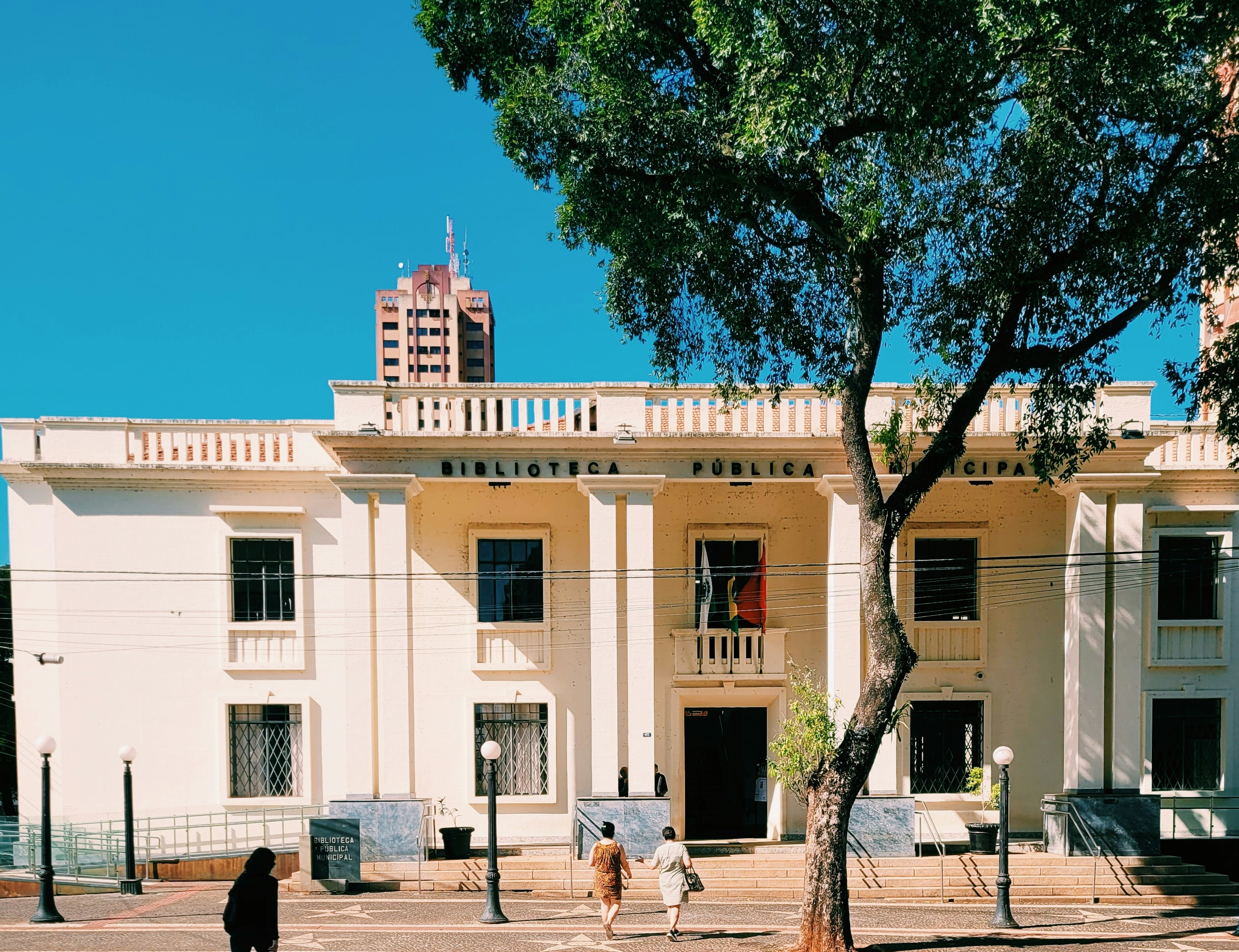Historic library building with tree in foreground under a clear blue sky.