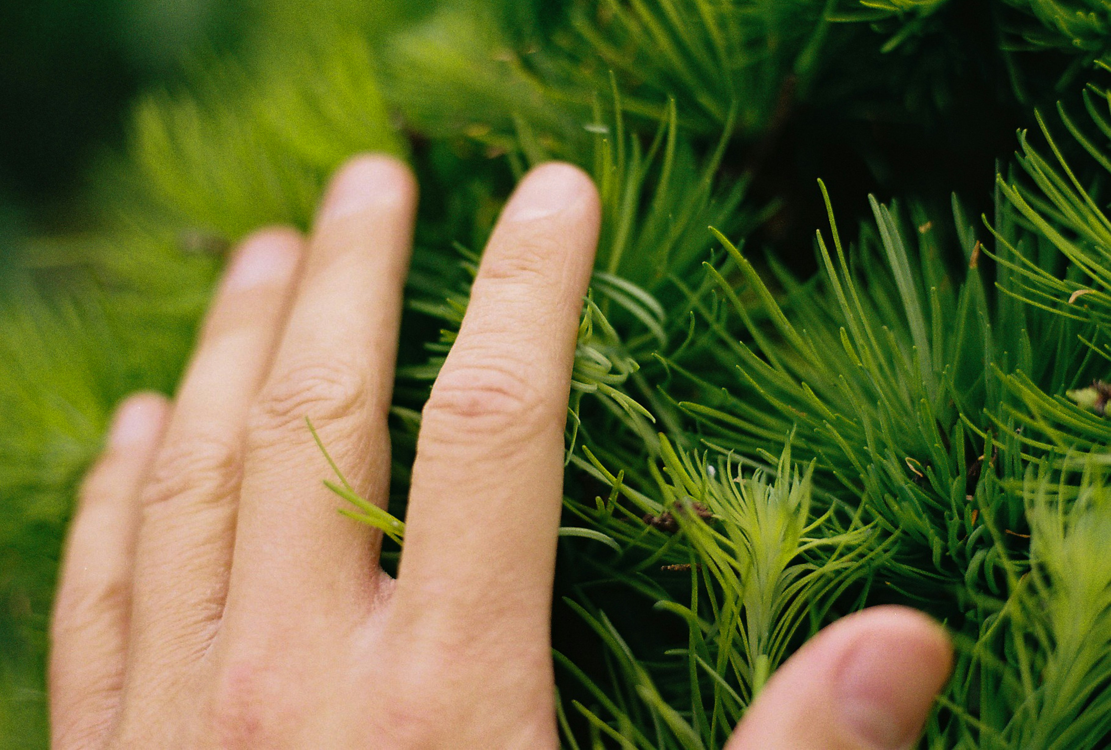 Photo by Oleksandr Voloshchenko with Fujifilm SLP800