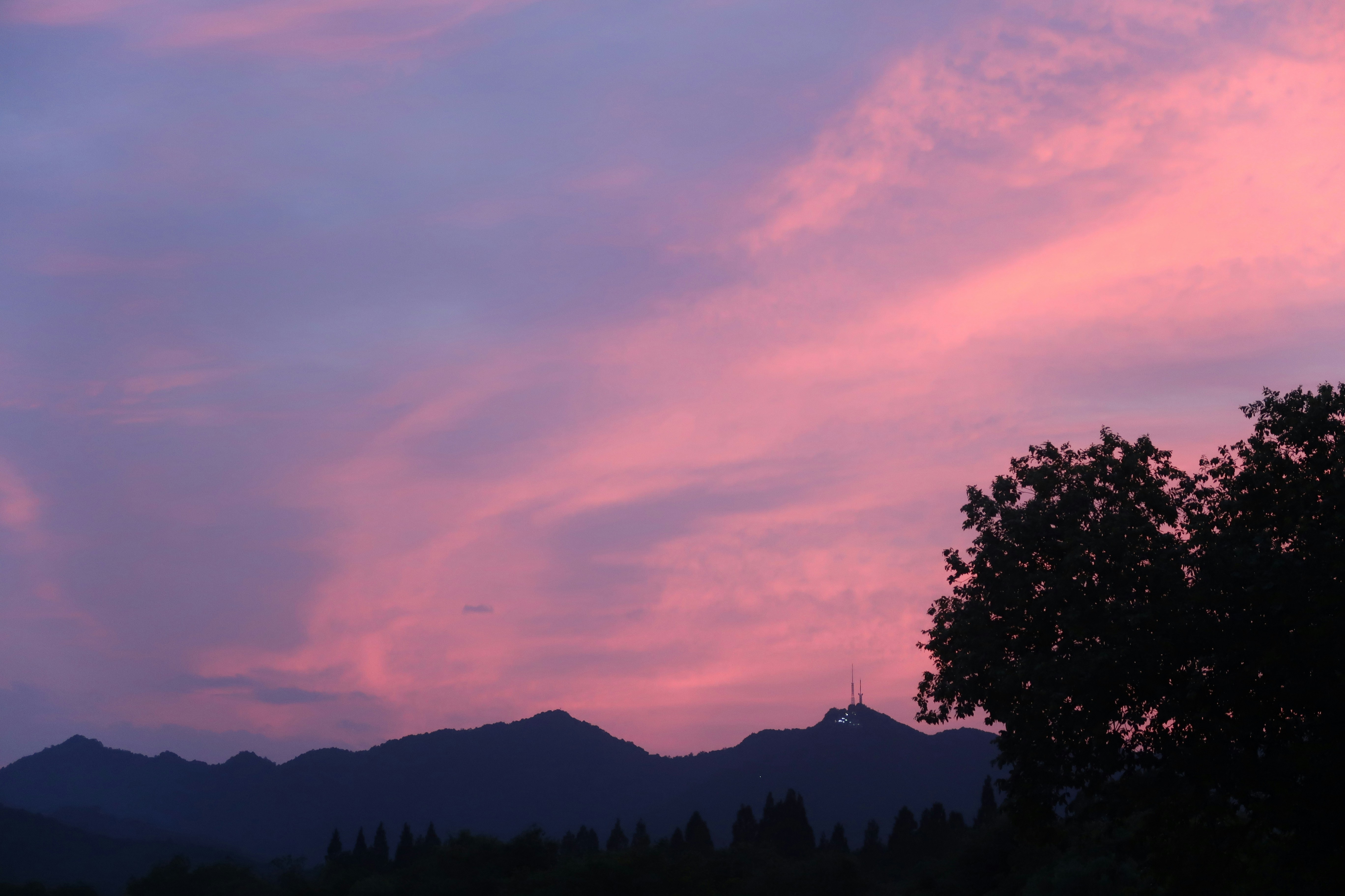 Photo by Zhengjie Lu with Canon PowerShot G7 X Mark II