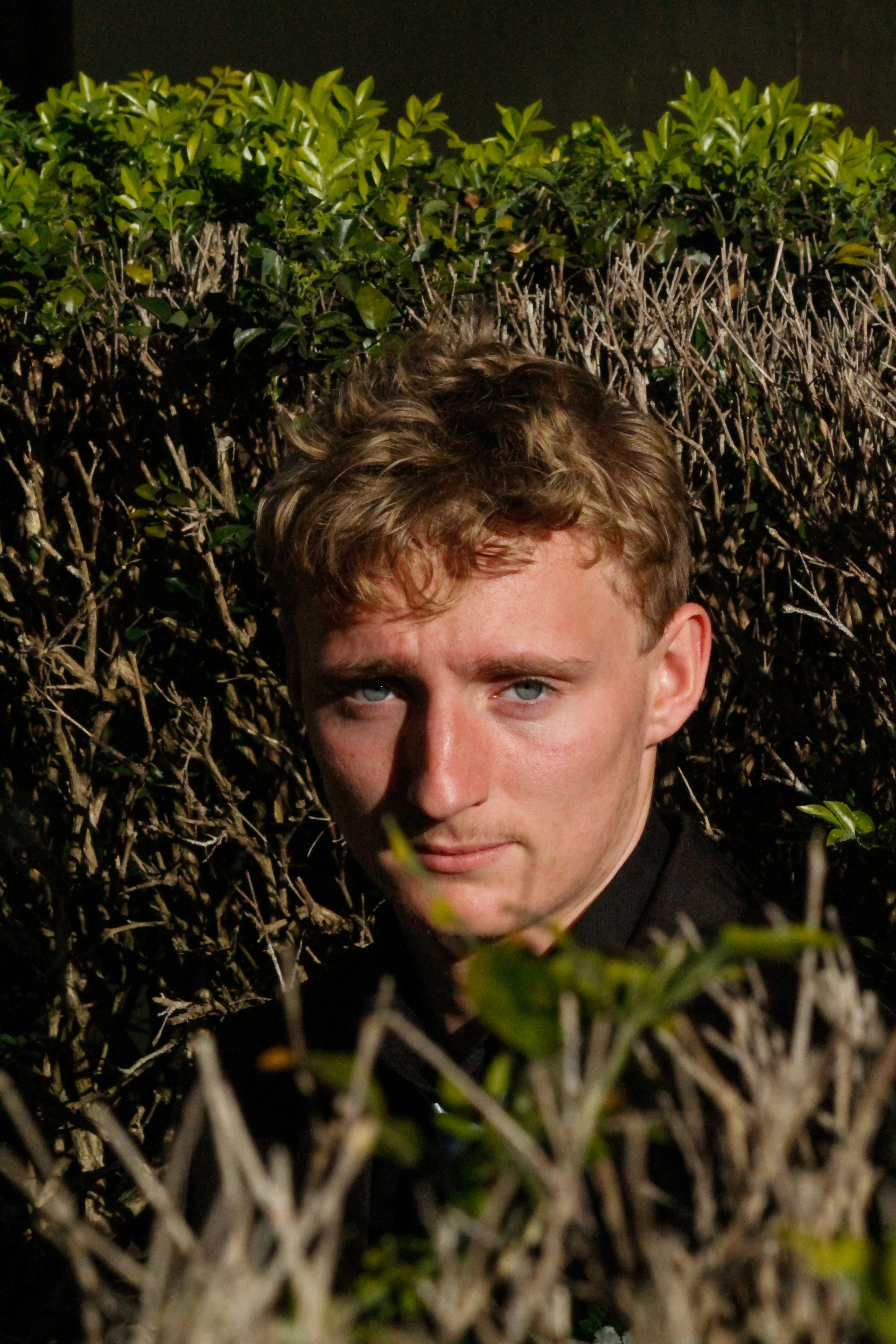 Glimpse Through the Hedge: A Portrait in Dappled Light