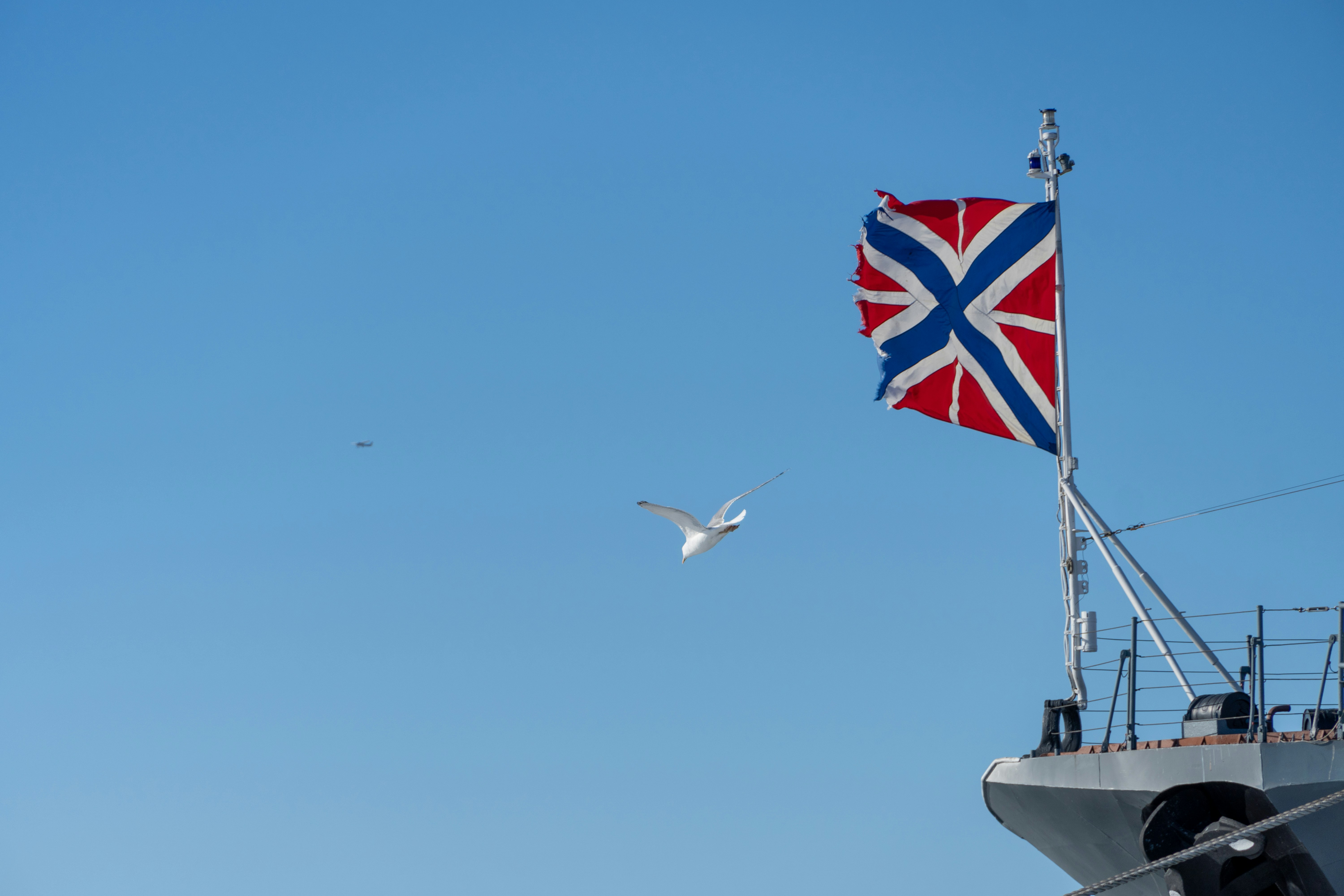 Seagull in Midflight Over a Union Jack Flagged Vessel Under a Pristine Blue Sky