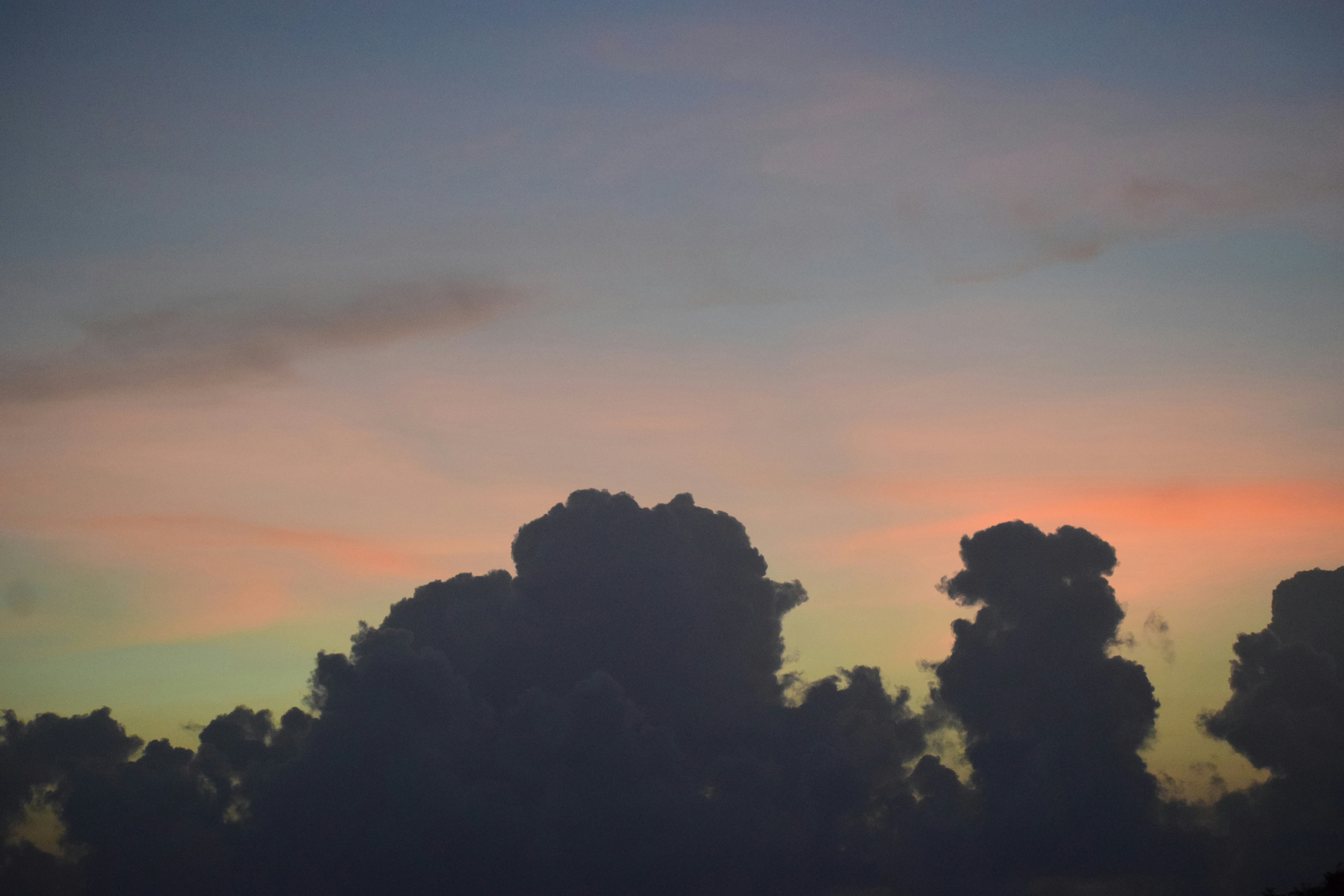 A sunset over trees photo – Free Grey Image on Unsplash