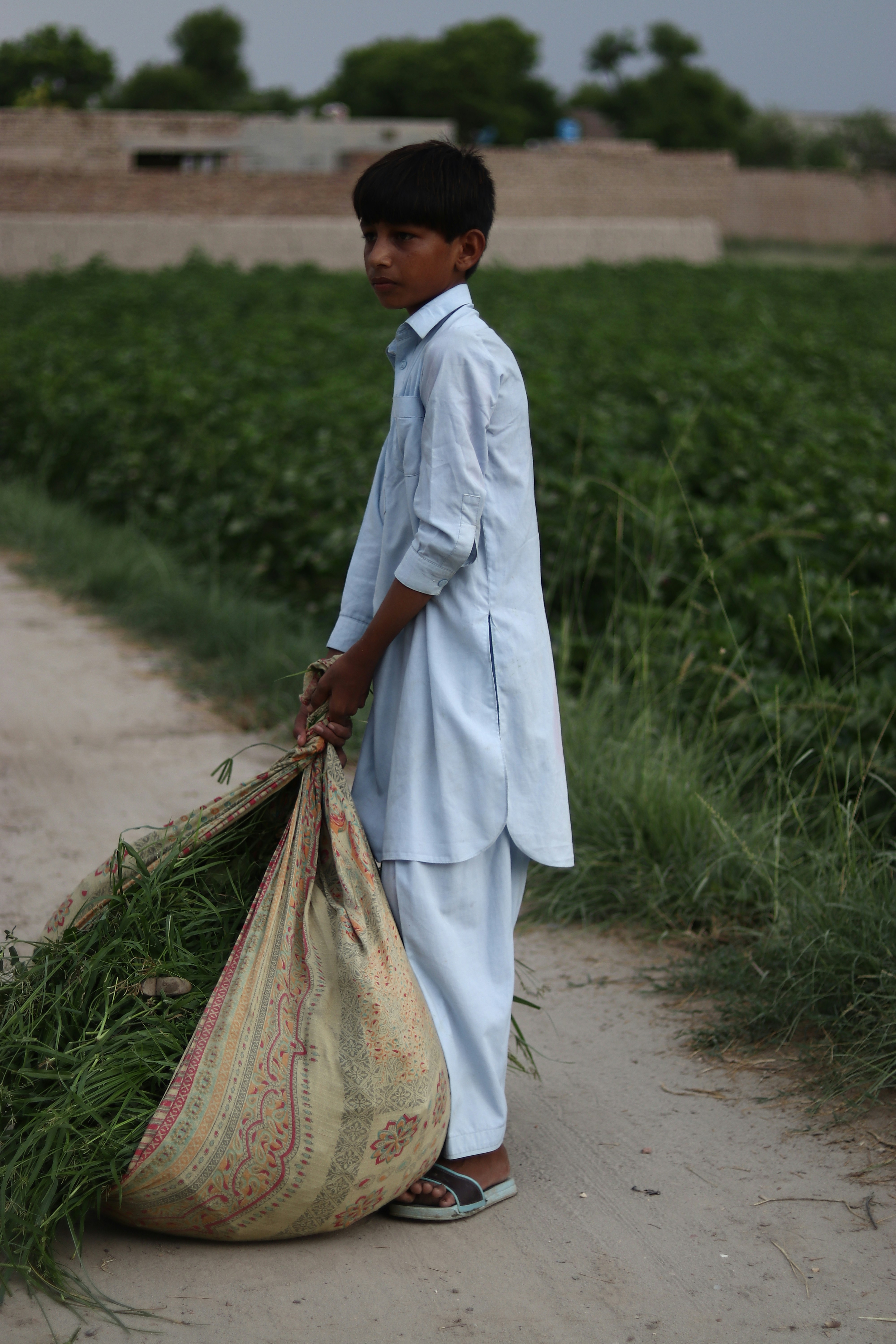 A boy carrying a bag photo – Free Nature Image on Unsplash
