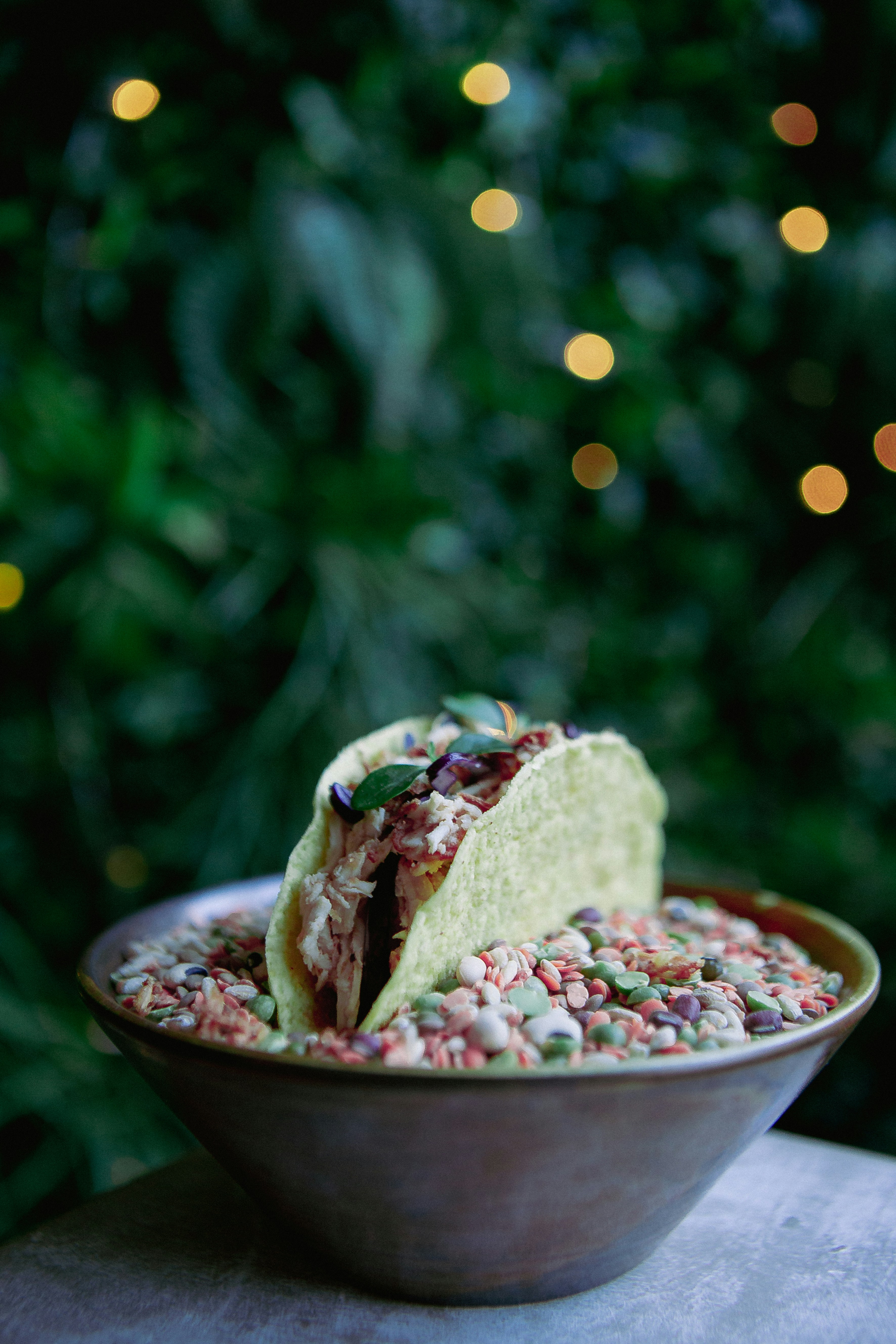A Slice of Velvet Cake Debuts Among Garden Lights