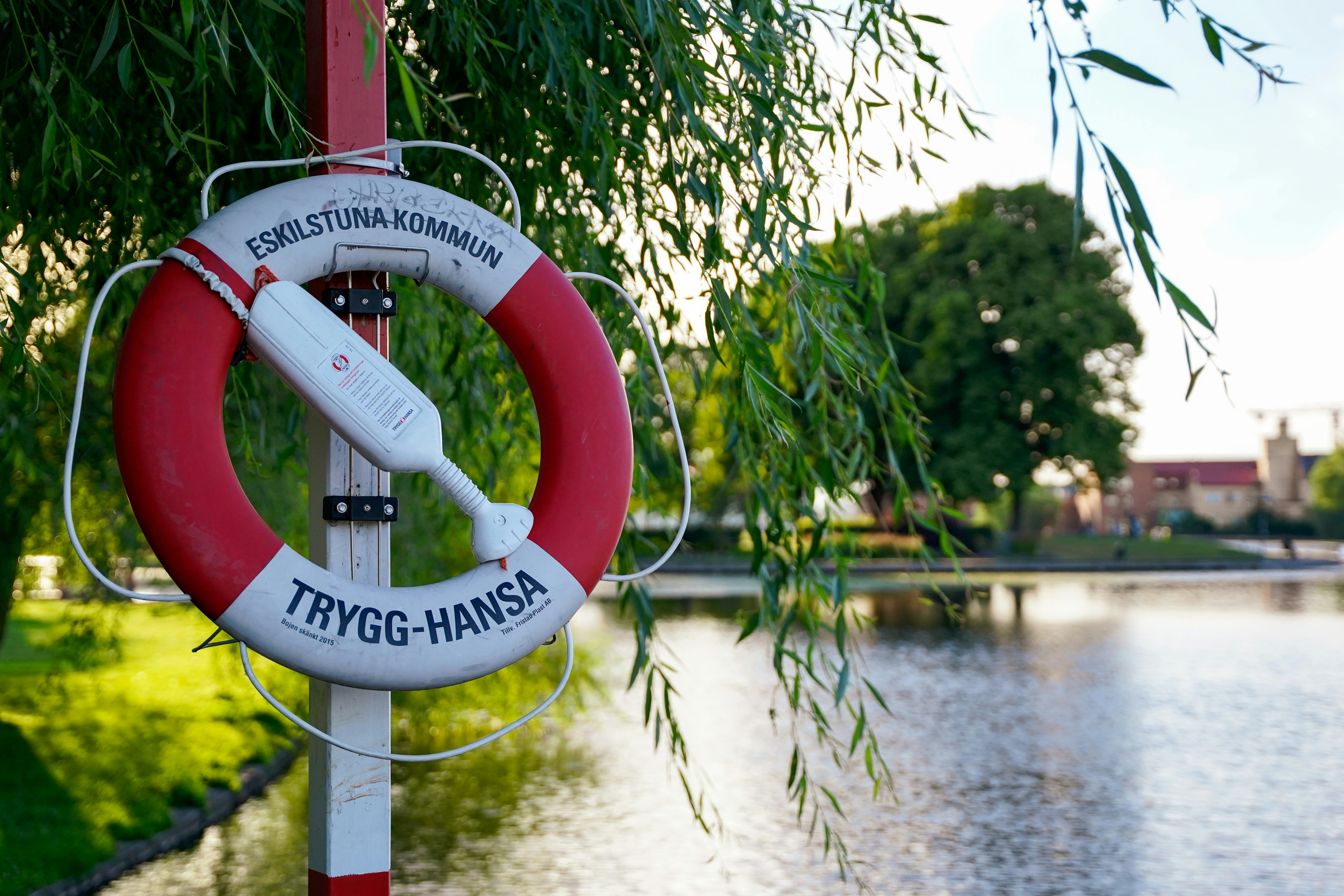 Red Lifebuoy at Riverside Edge, Framed by Weeping Willows