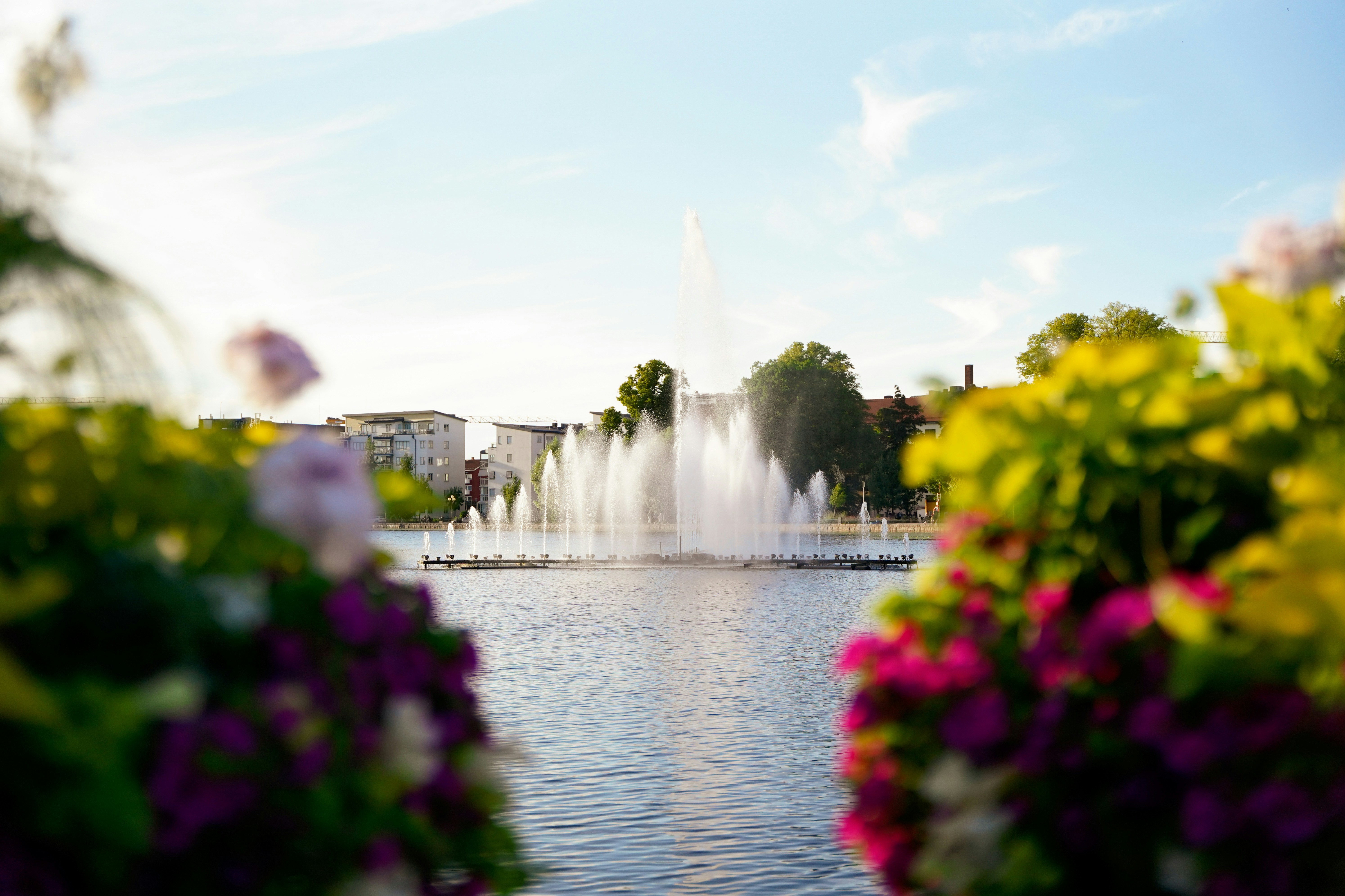 Colorful flowers framing a distant fountain in a tranquil lake under a clear sky.