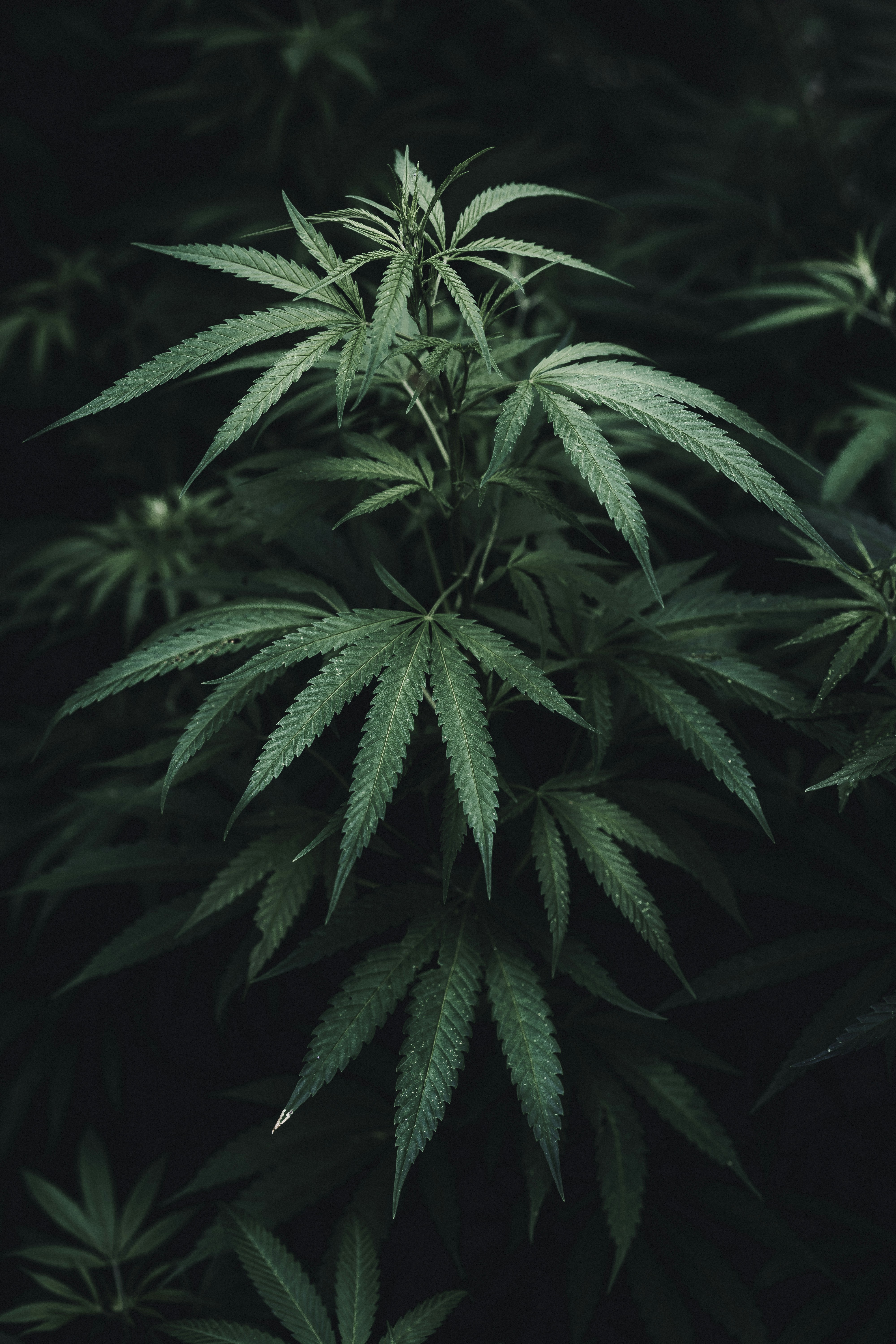 Photo by Maksym Tymchyk 🇺🇦 with Sony Alpha 7 III