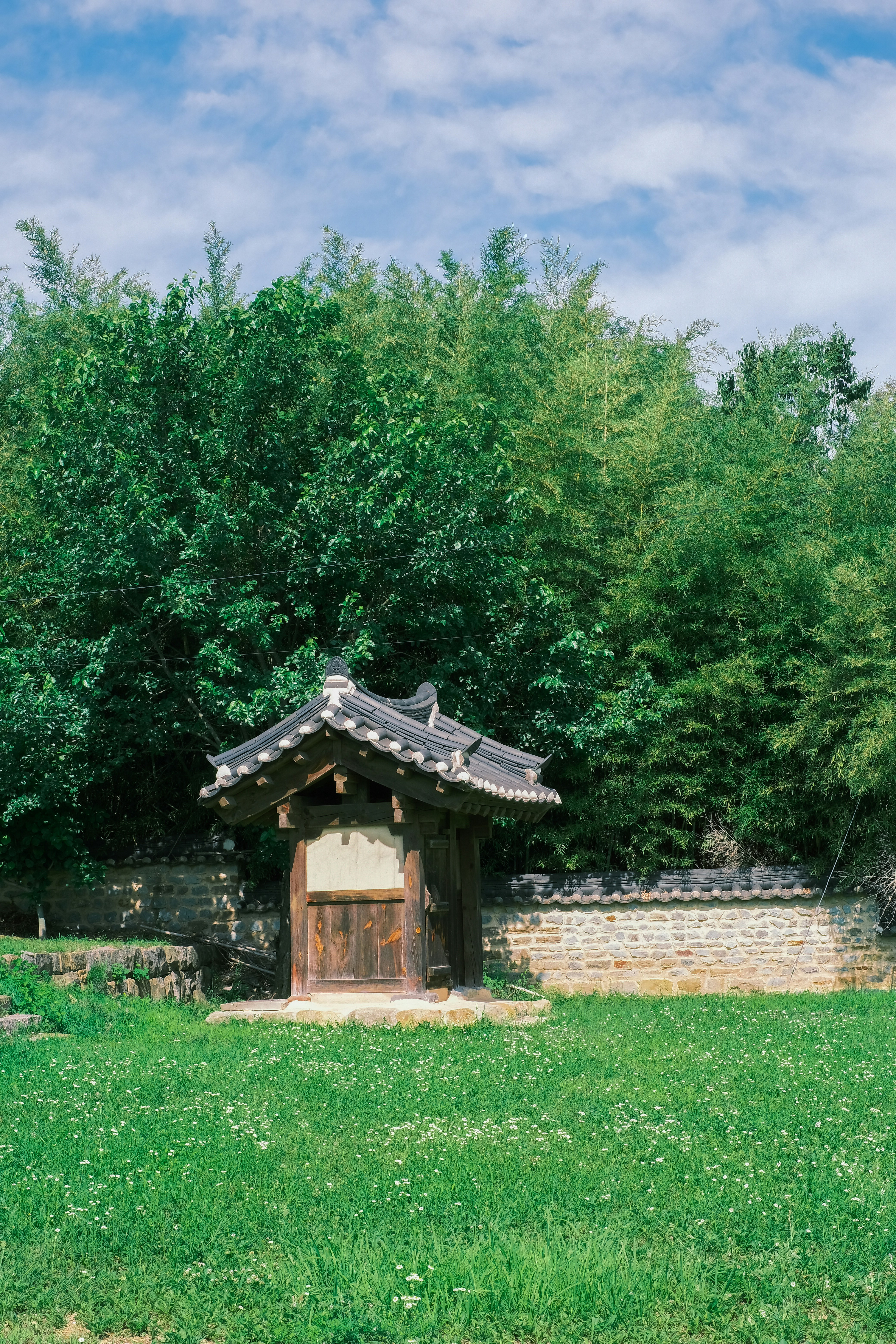 Quiet Gate Beneath Bamboo: A Sunlit Traditional Door in a Lush Yard