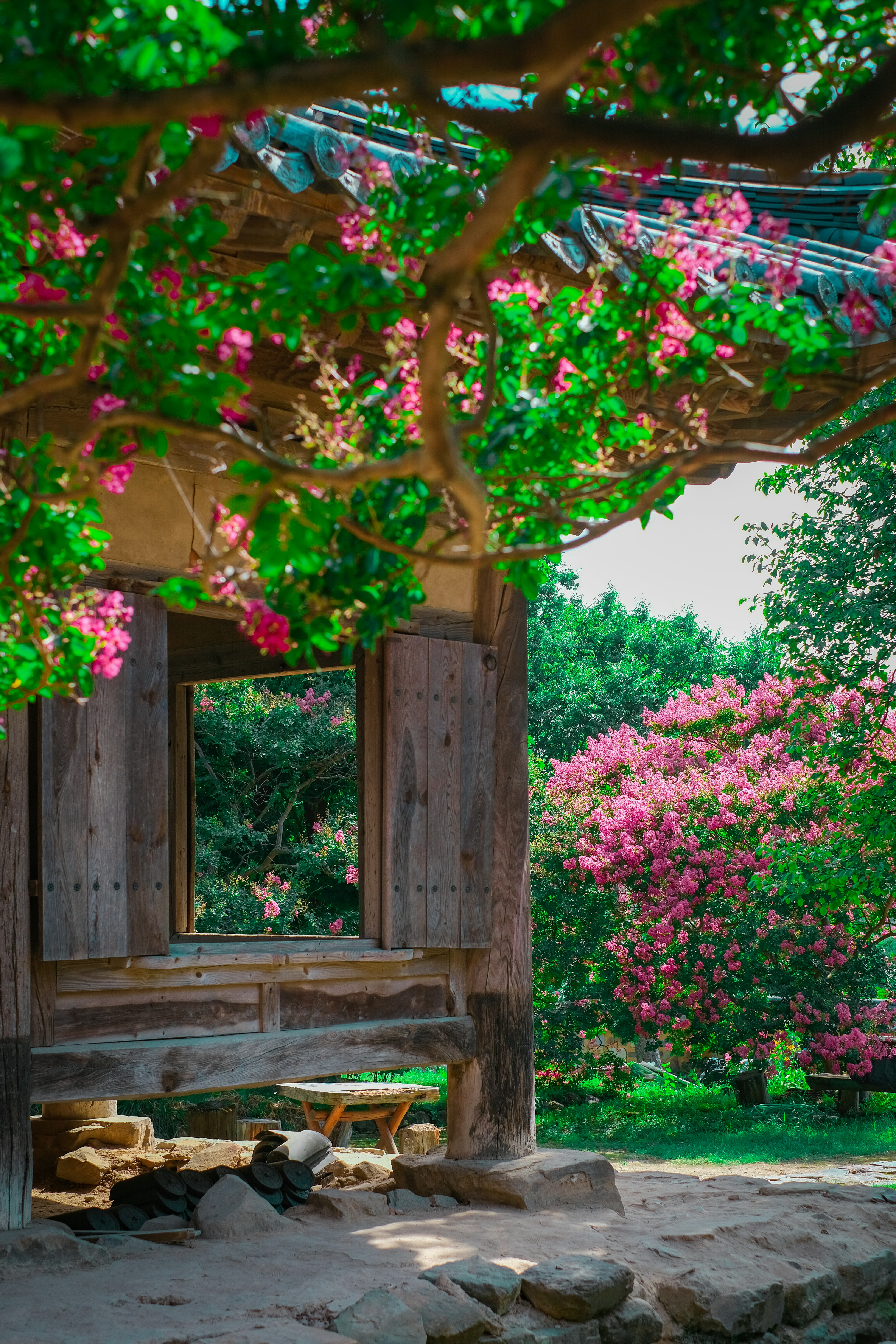 Rustic wooden doorway and window framed by vibrant bougainvillea. A sunlit garden with a stone ground and a simple bench adds a quiet, pastoral mood.