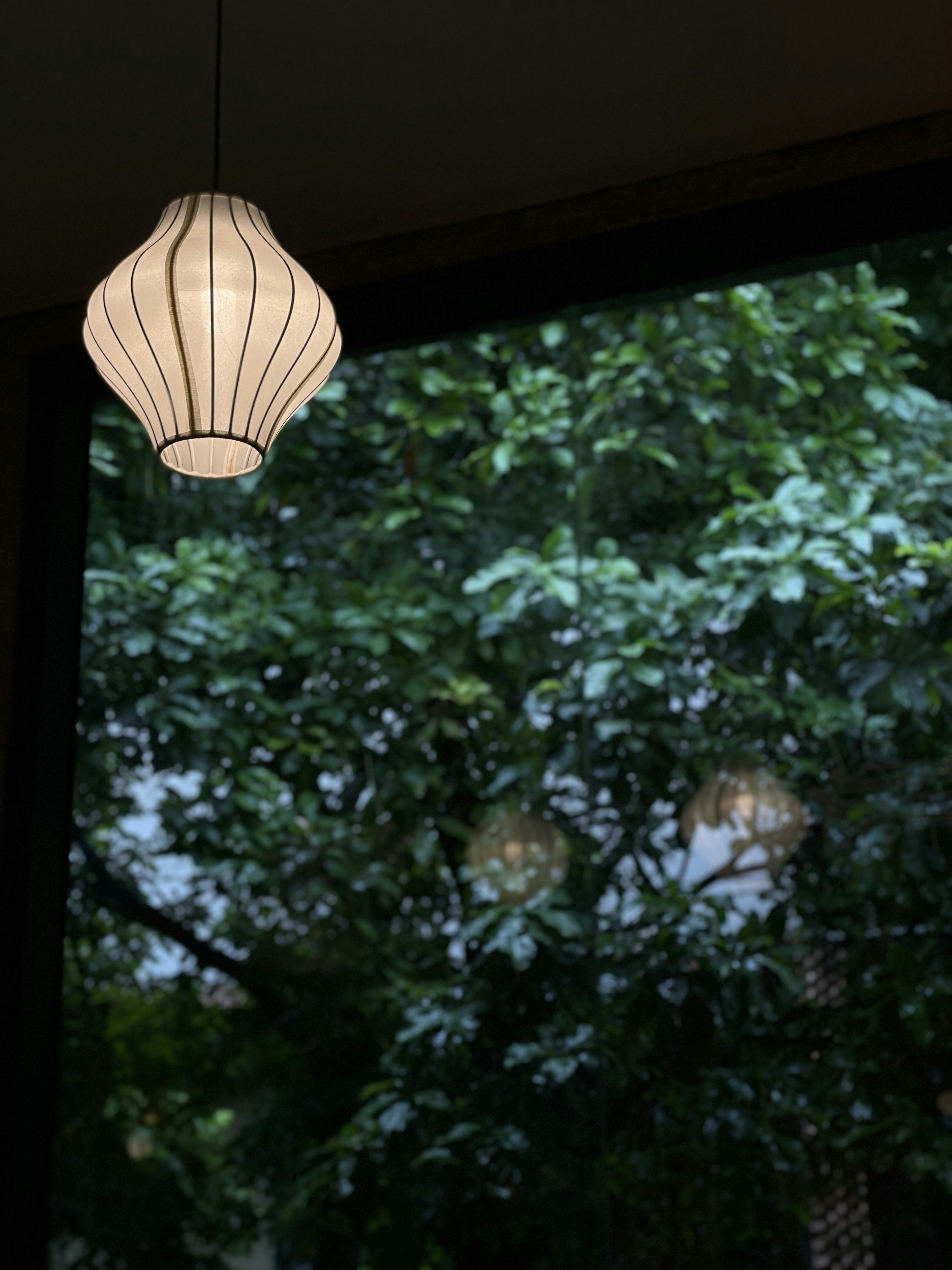 Photo by Phan Le with Apple iPhone 12 Pro