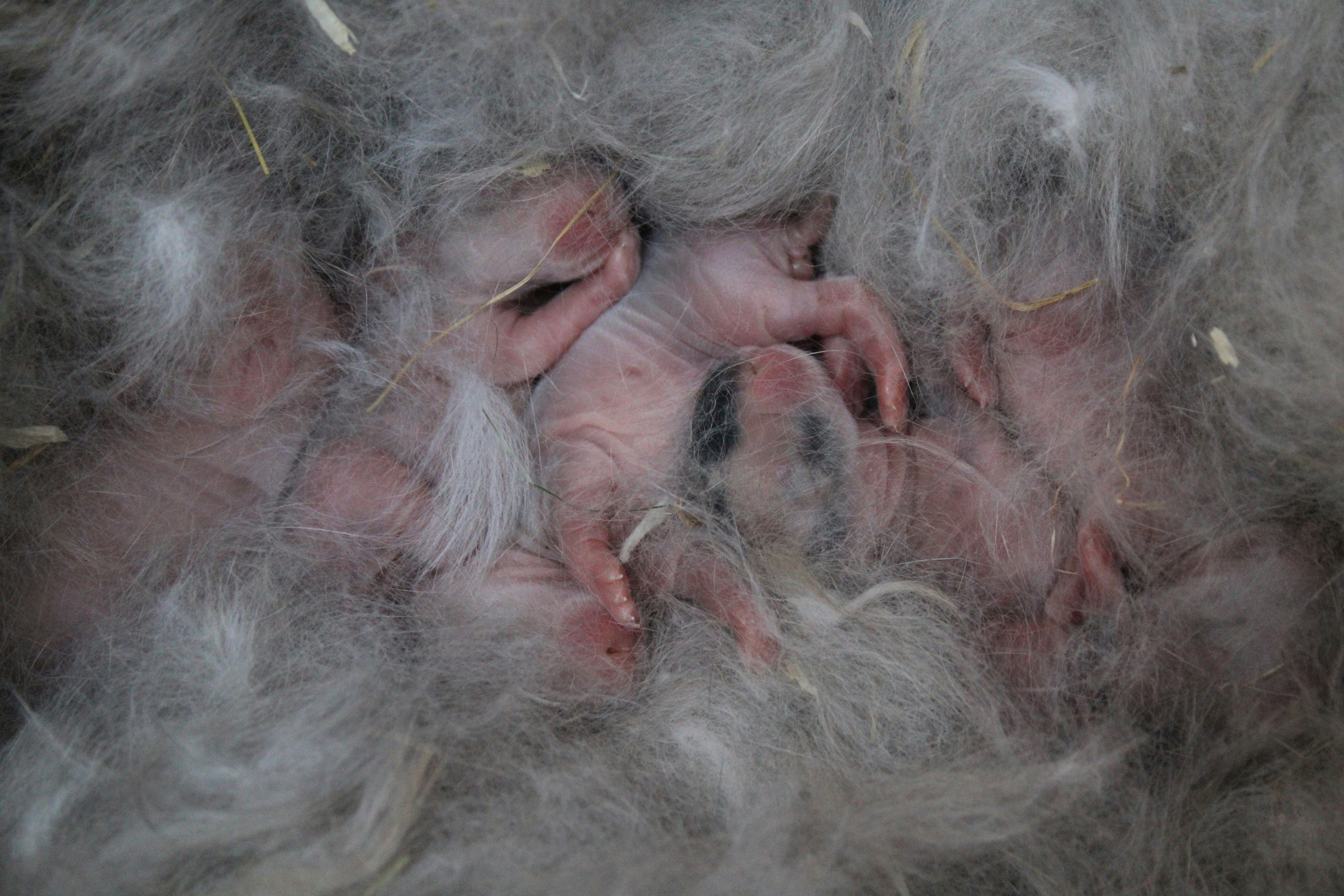 a group of hands in a circle