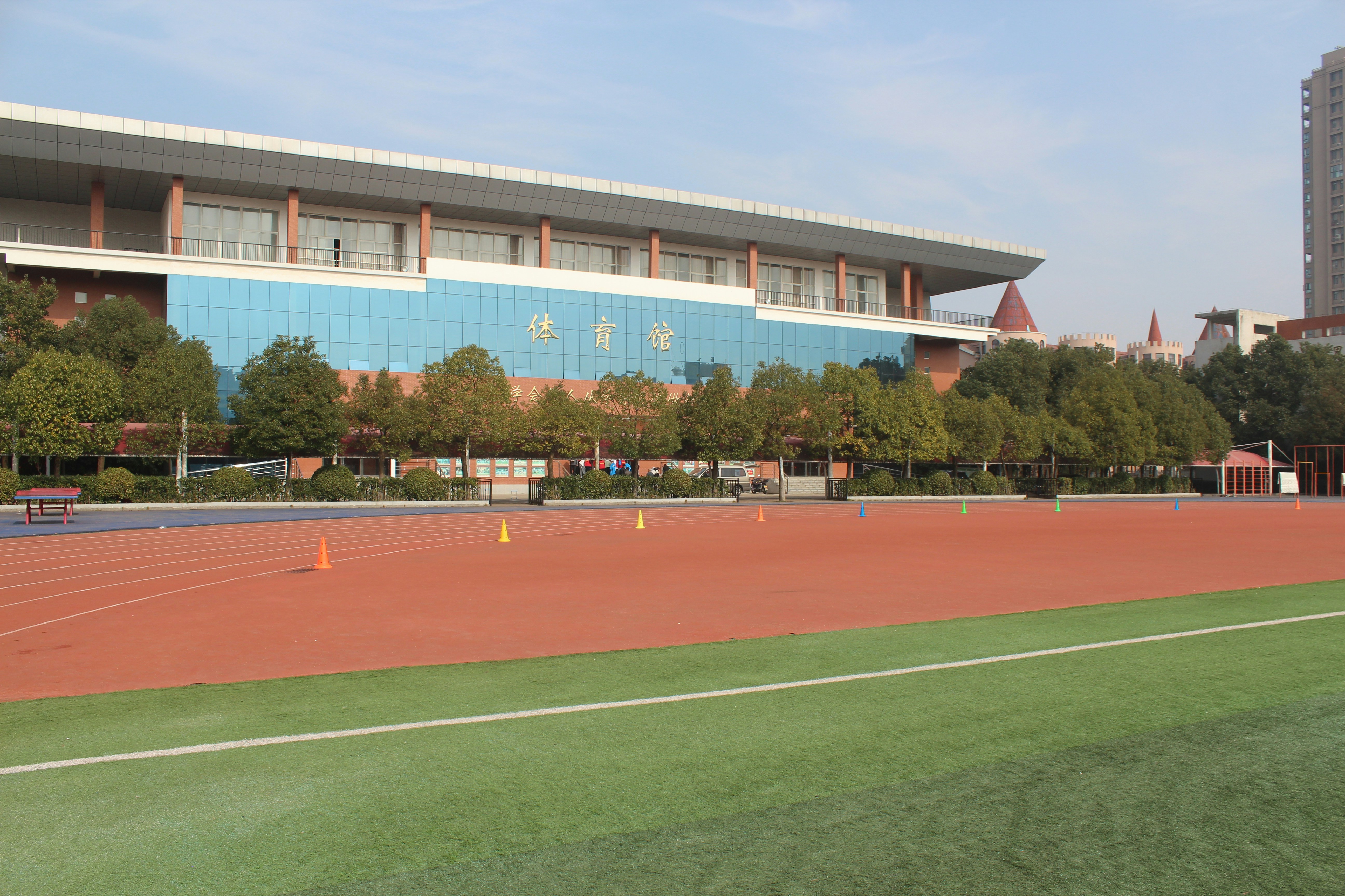 School gym with a row of green trees in front, located north of the playground.