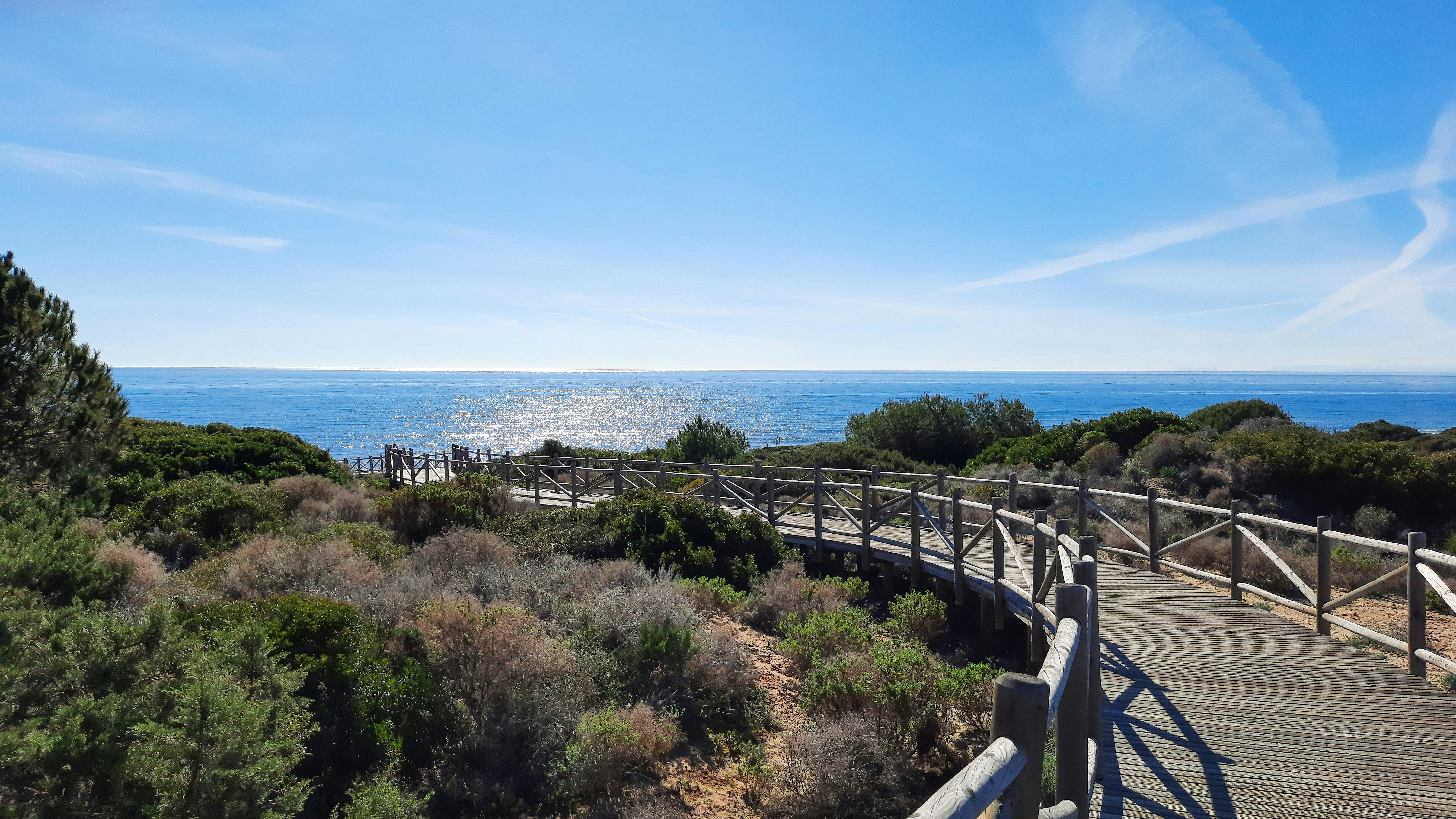 Curved wooden bridge leading towards a sparkling ocean, surrounded by coastal vegetation under a clear blue sky.