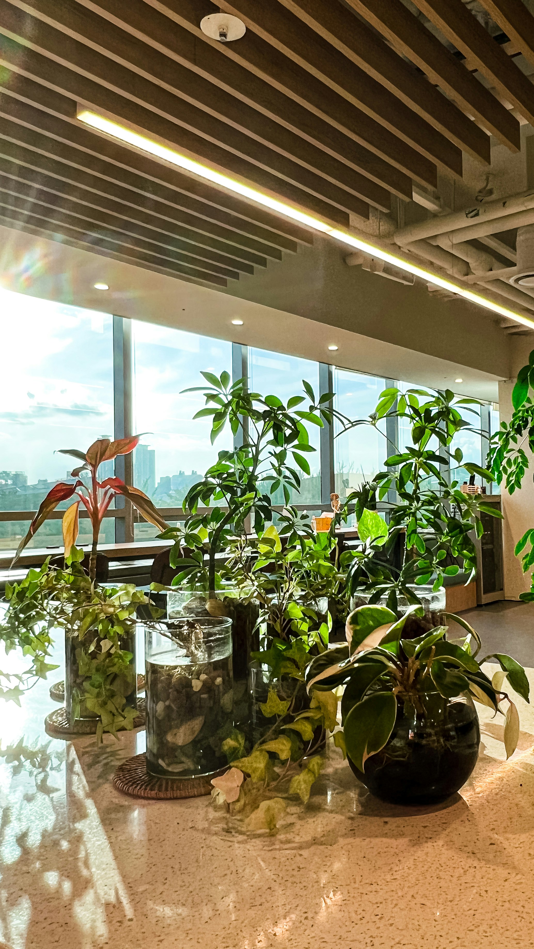 Sunlit Lobby Oasis: Plants and Glass by the Window
