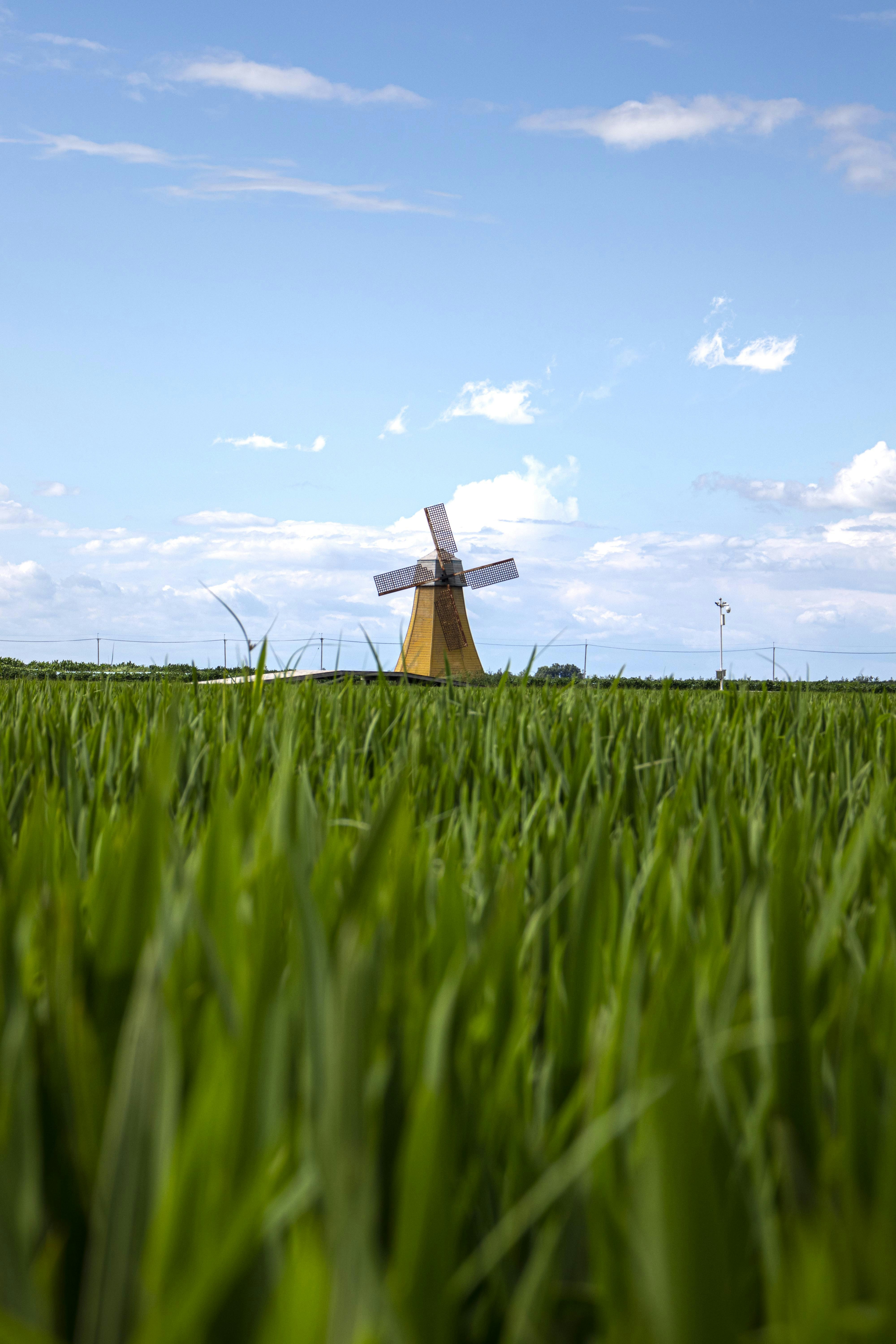 A windmill in a field photo – Free China Image on Unsplash
