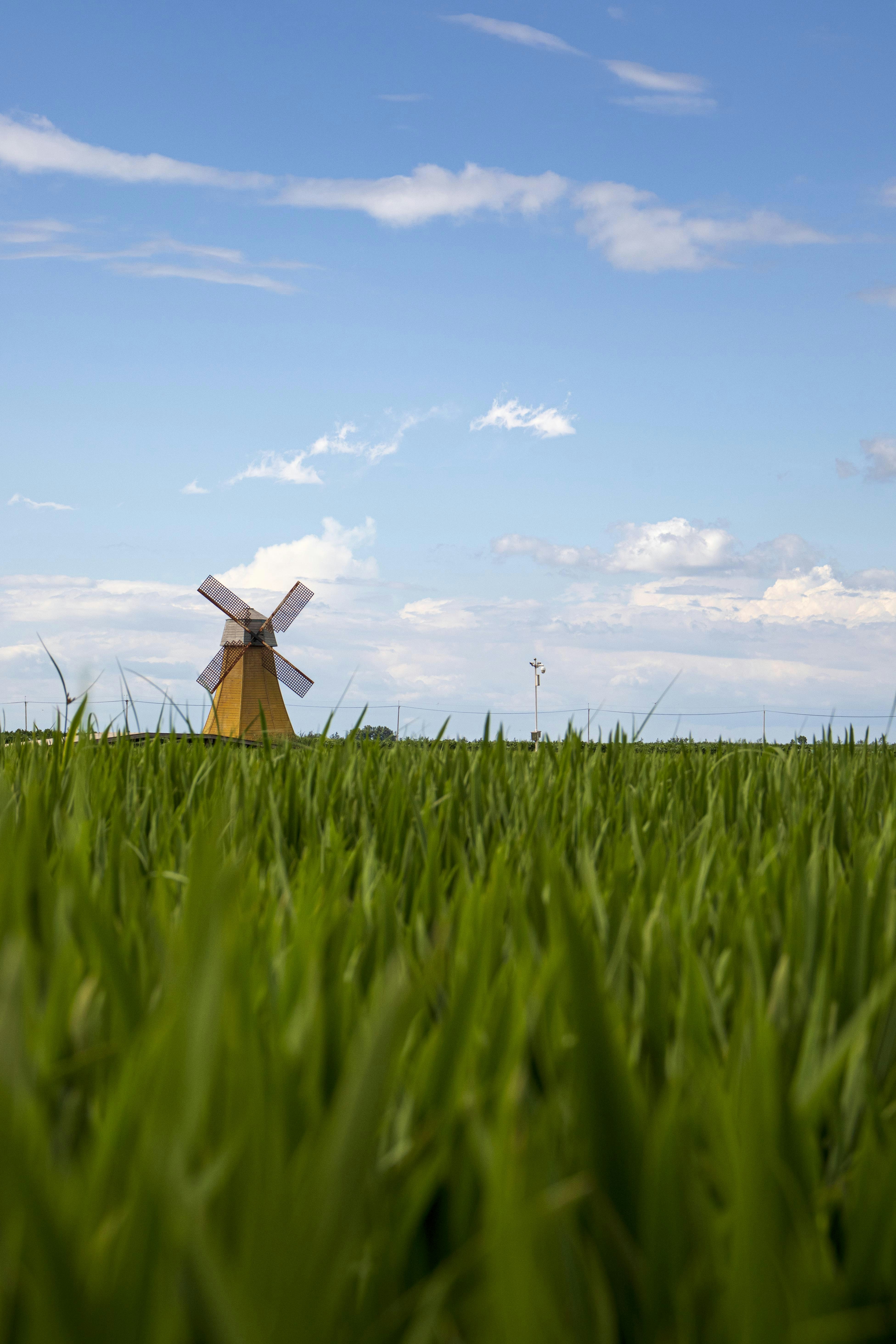 Emerald Field Windmill at the Quiet Horizon