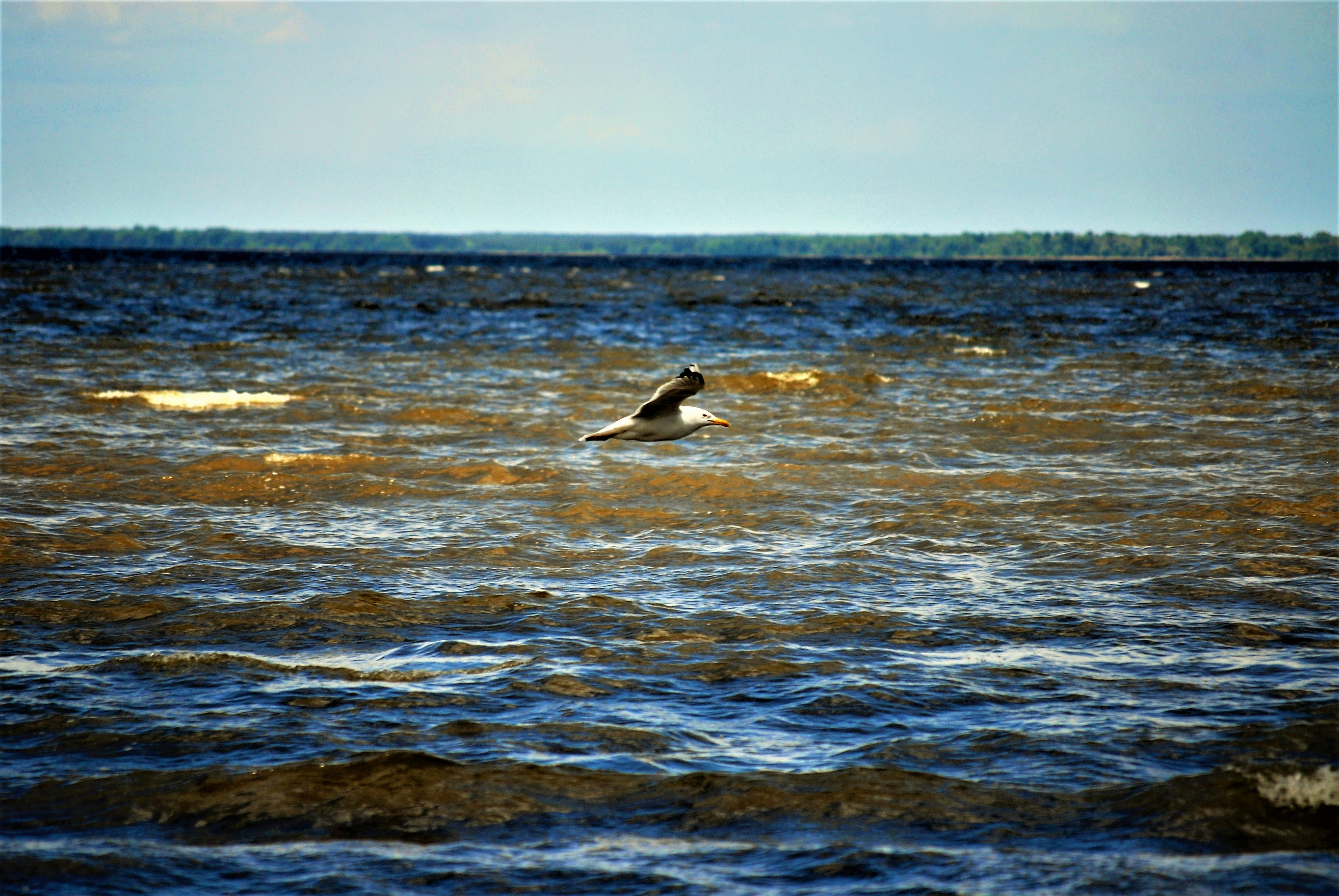 Photo by Oleksandr Brovko with Nikon D200