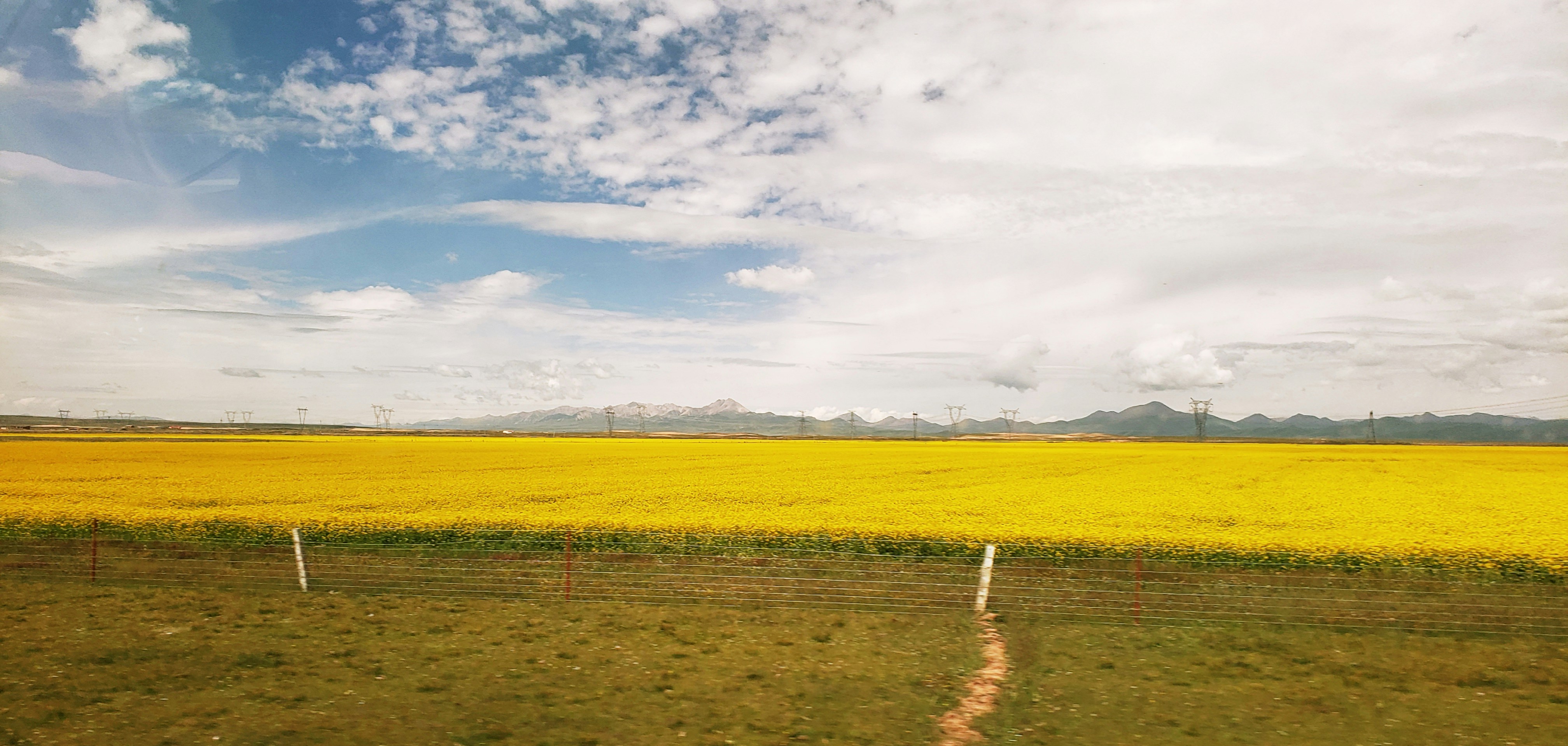 QingHai Province, People's Republic Of China
