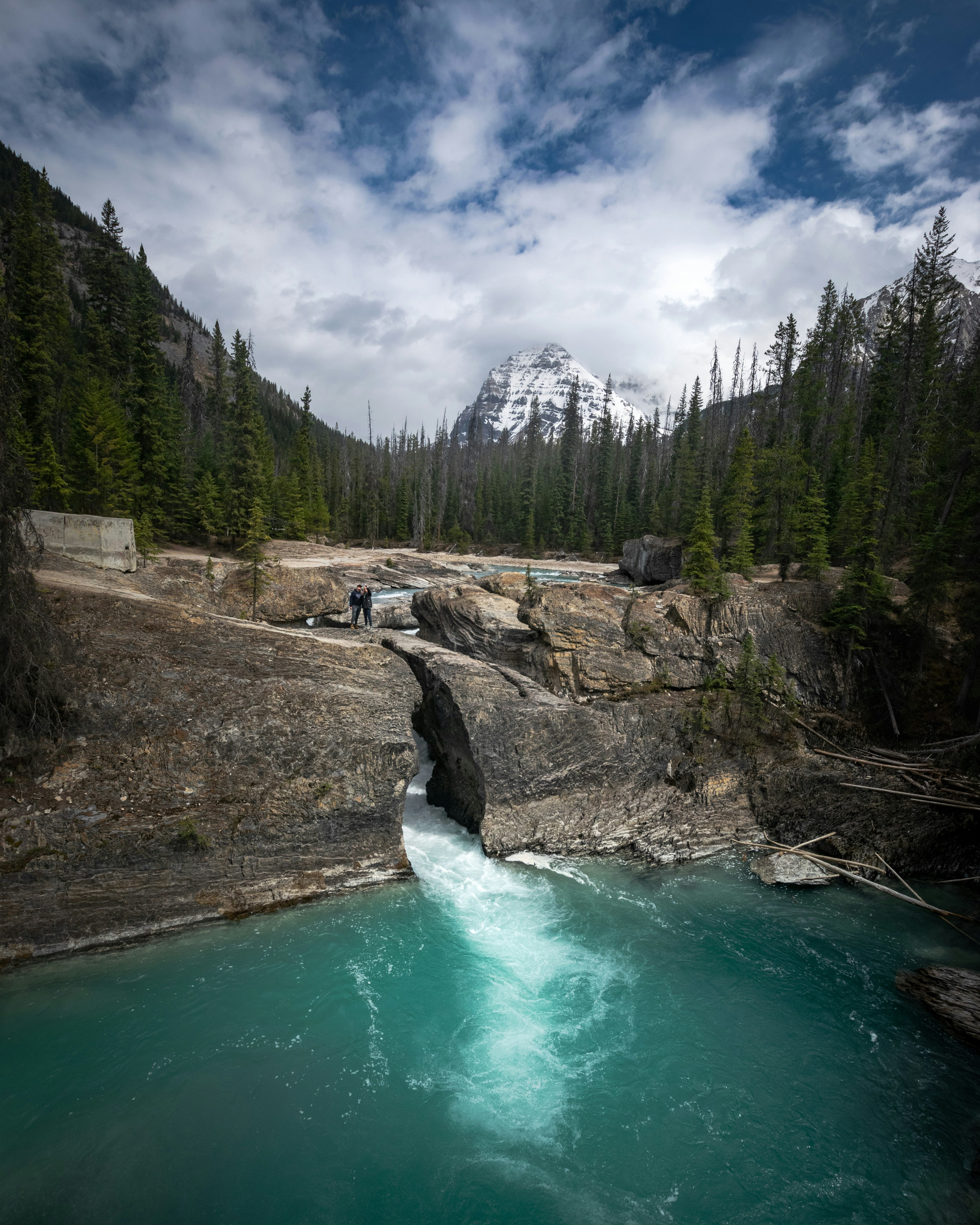 Turquoise Torrent at Cascade Gorge: A Stone-and-Pine Confluence Beneath a Snowy Peak