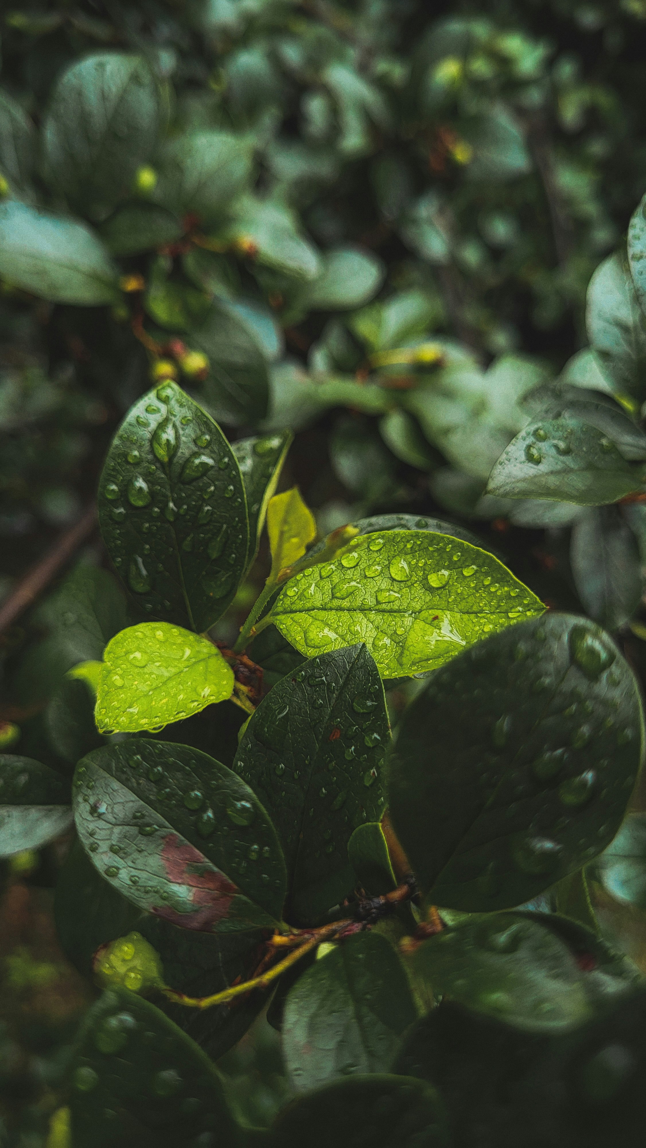 Photo by Loa Kon with Samsung Galaxy S21 FE