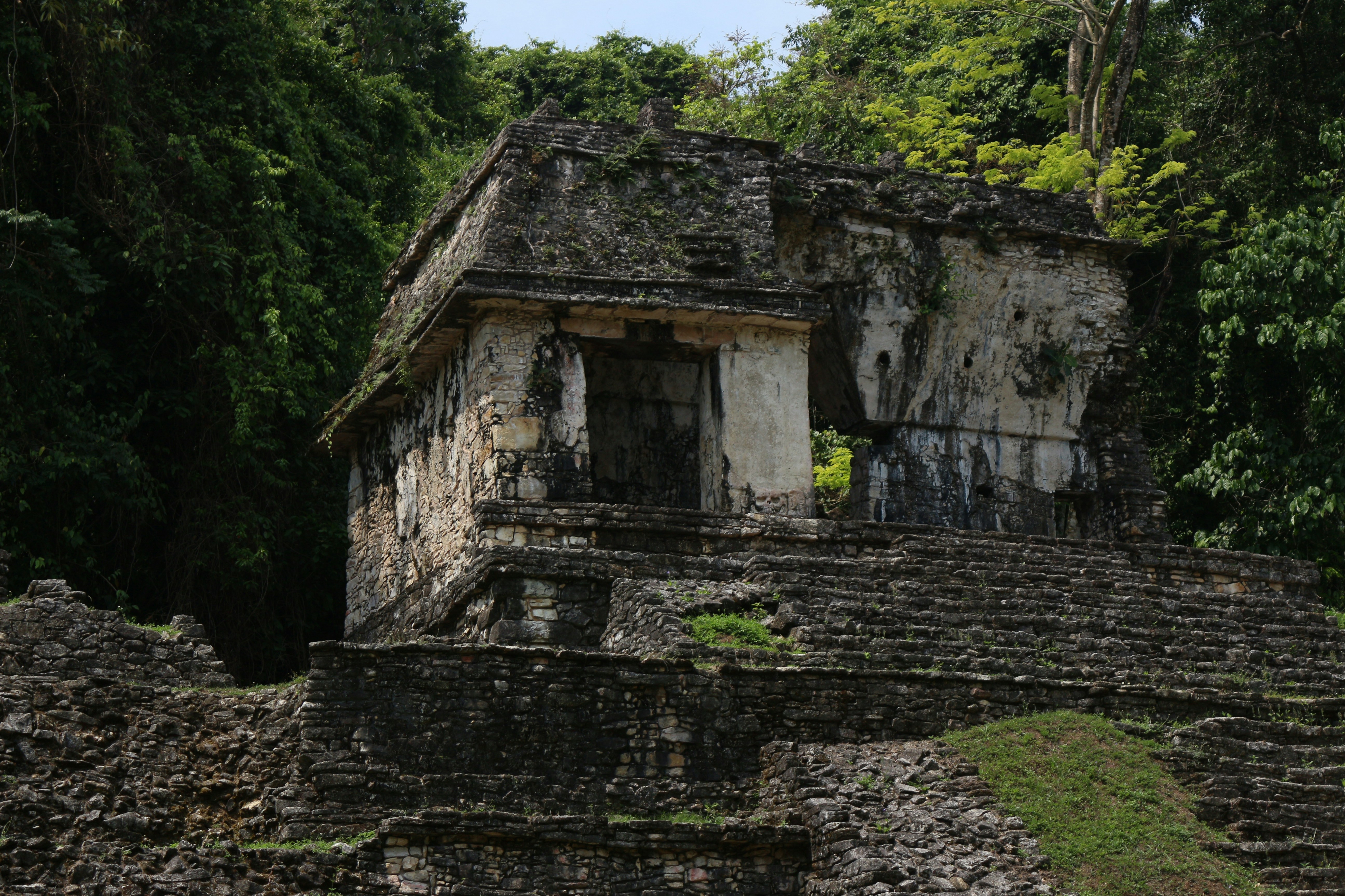 Stone structure with weathered steps surrounded by dense green foliage.