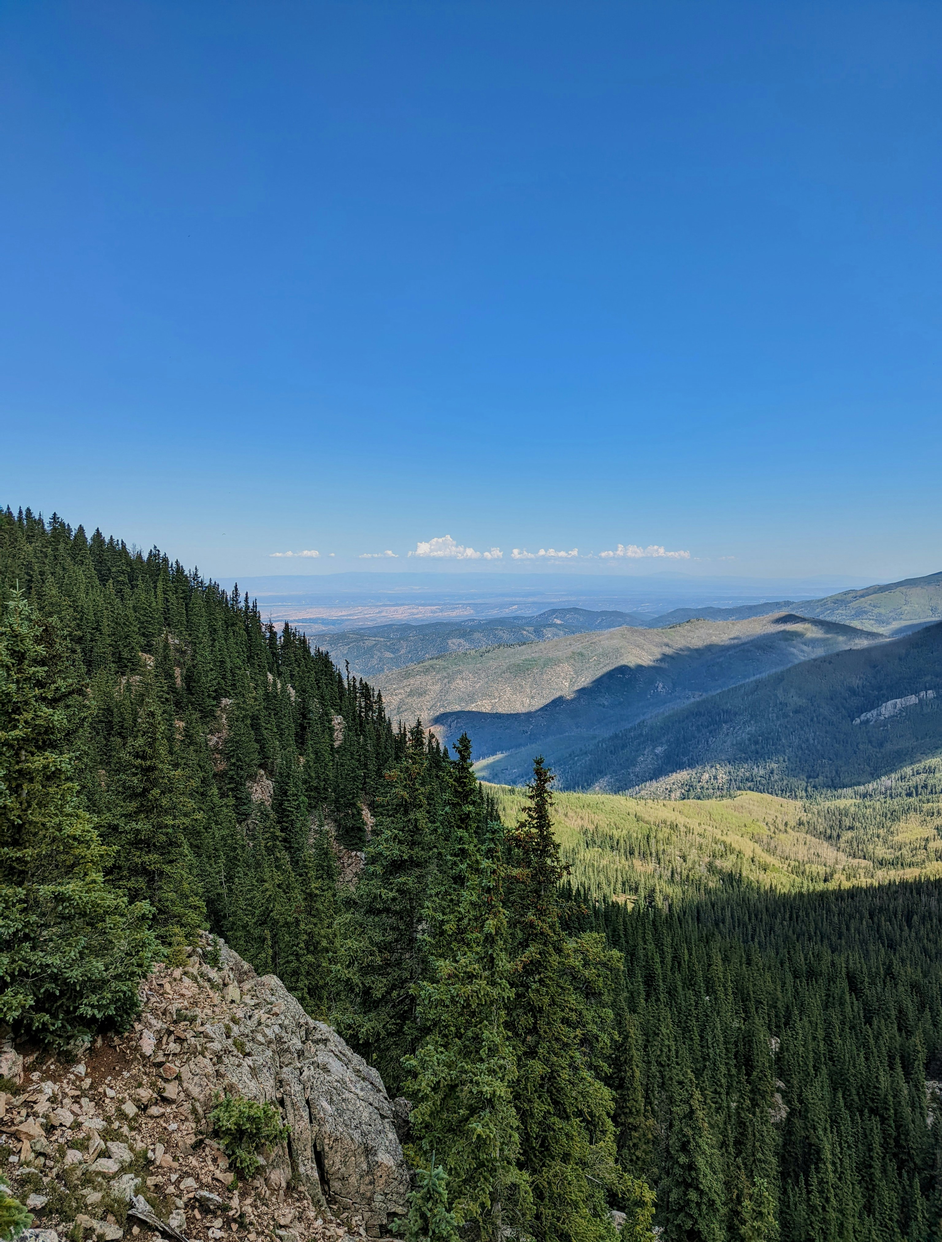 Lush green pine trees cascade down a rugged mountain slope, revealing a vast valley under a clear blue sky.