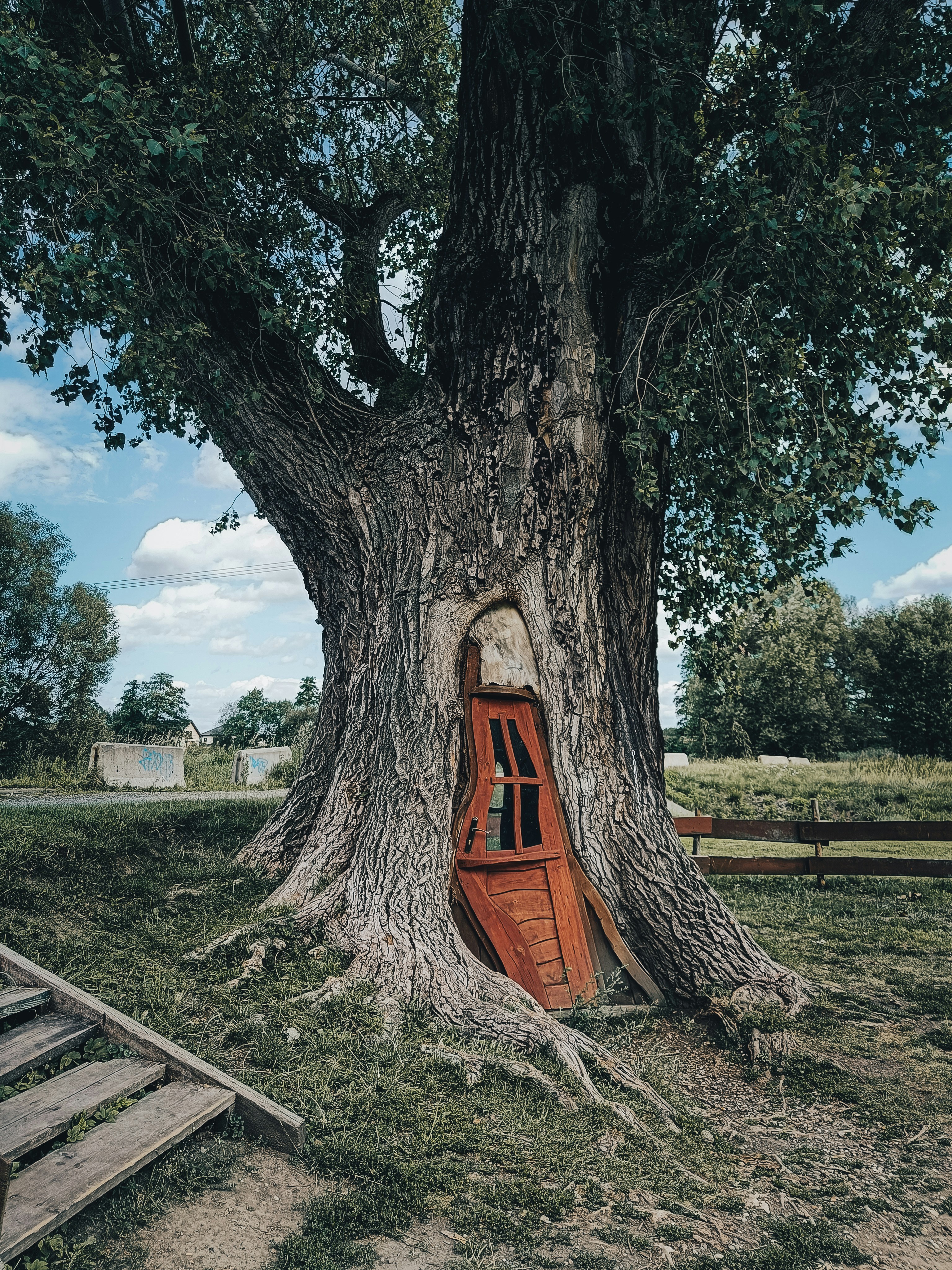 Photo by Spruce with OnePlus Nord 2