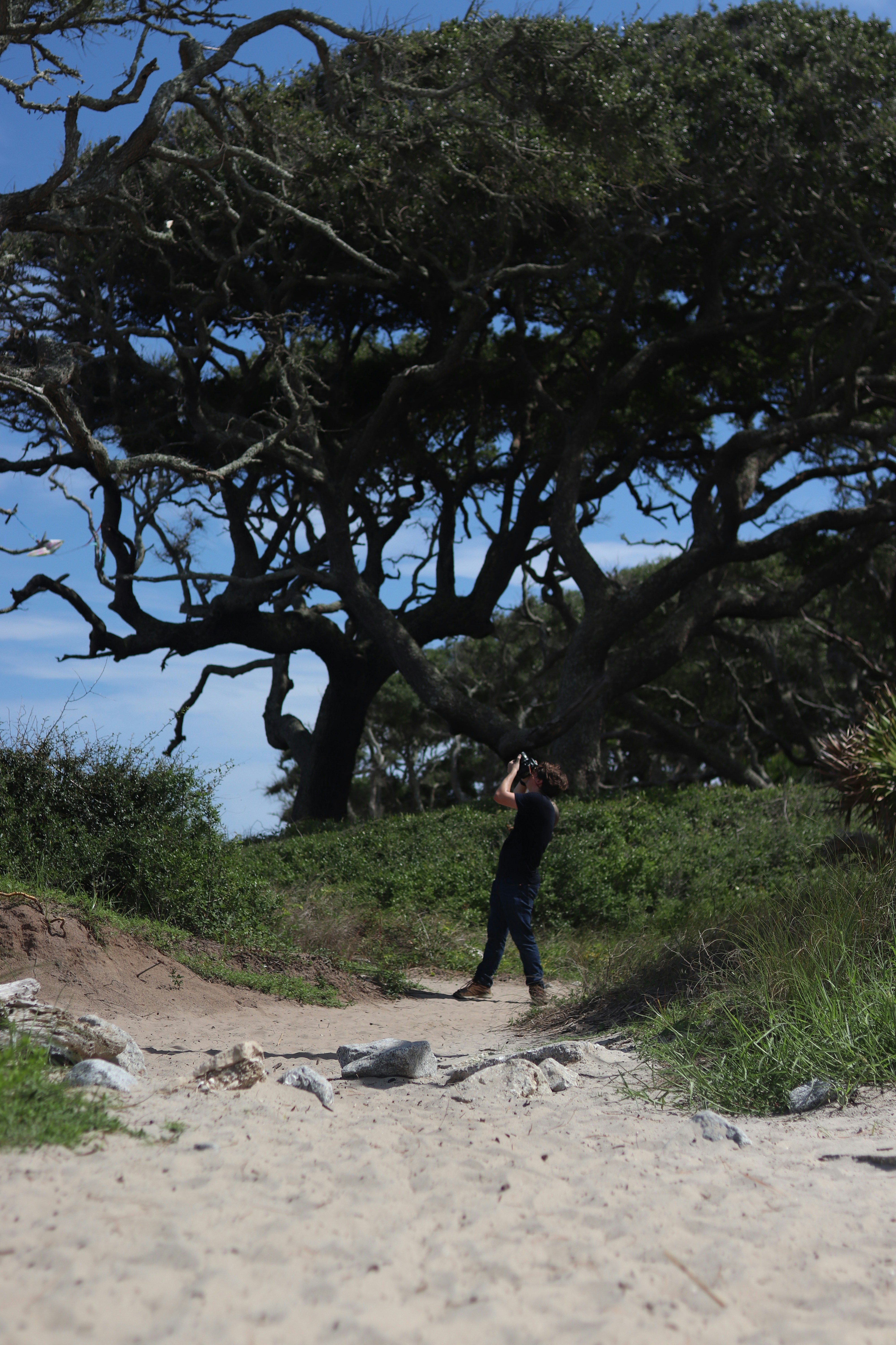 A person standing under a tree photo – Free Person Image on Unsplash
