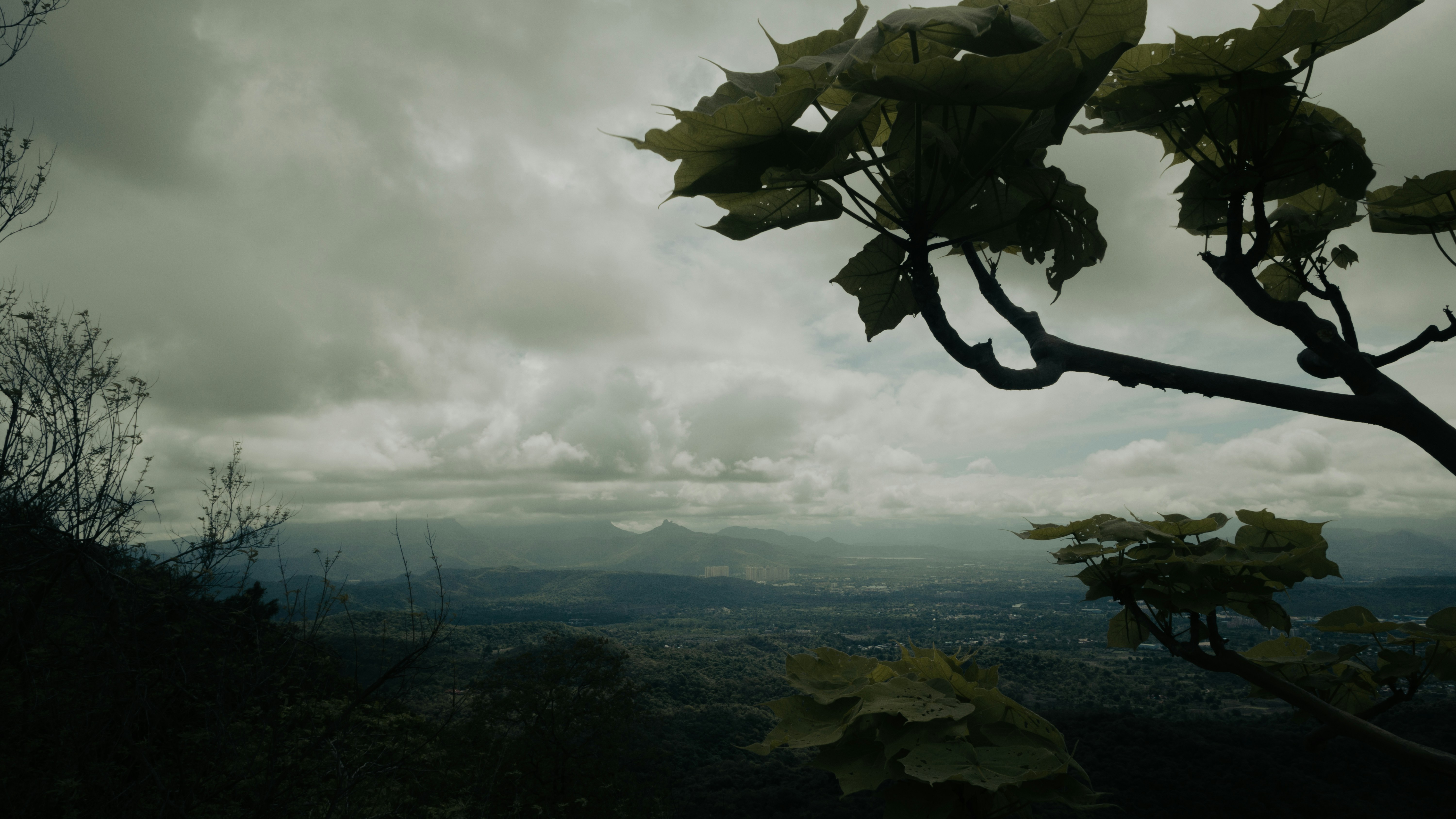 Whispers of the Misty Horizon
