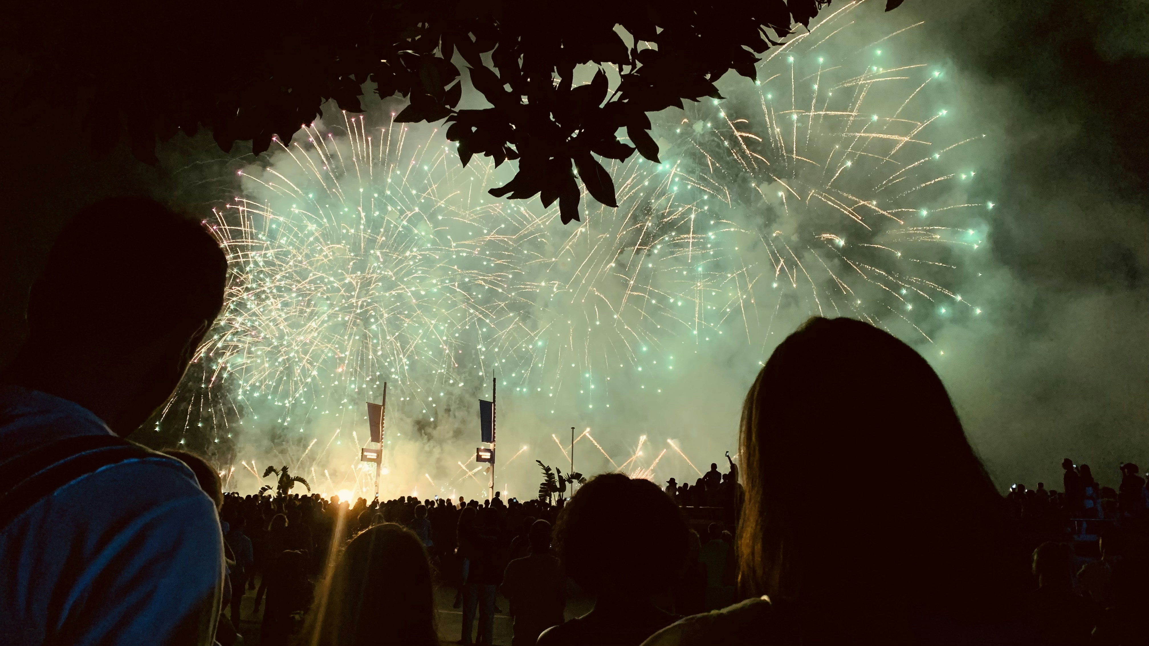 Midnight Bloom: Fireworks Over a Packed Night Sky