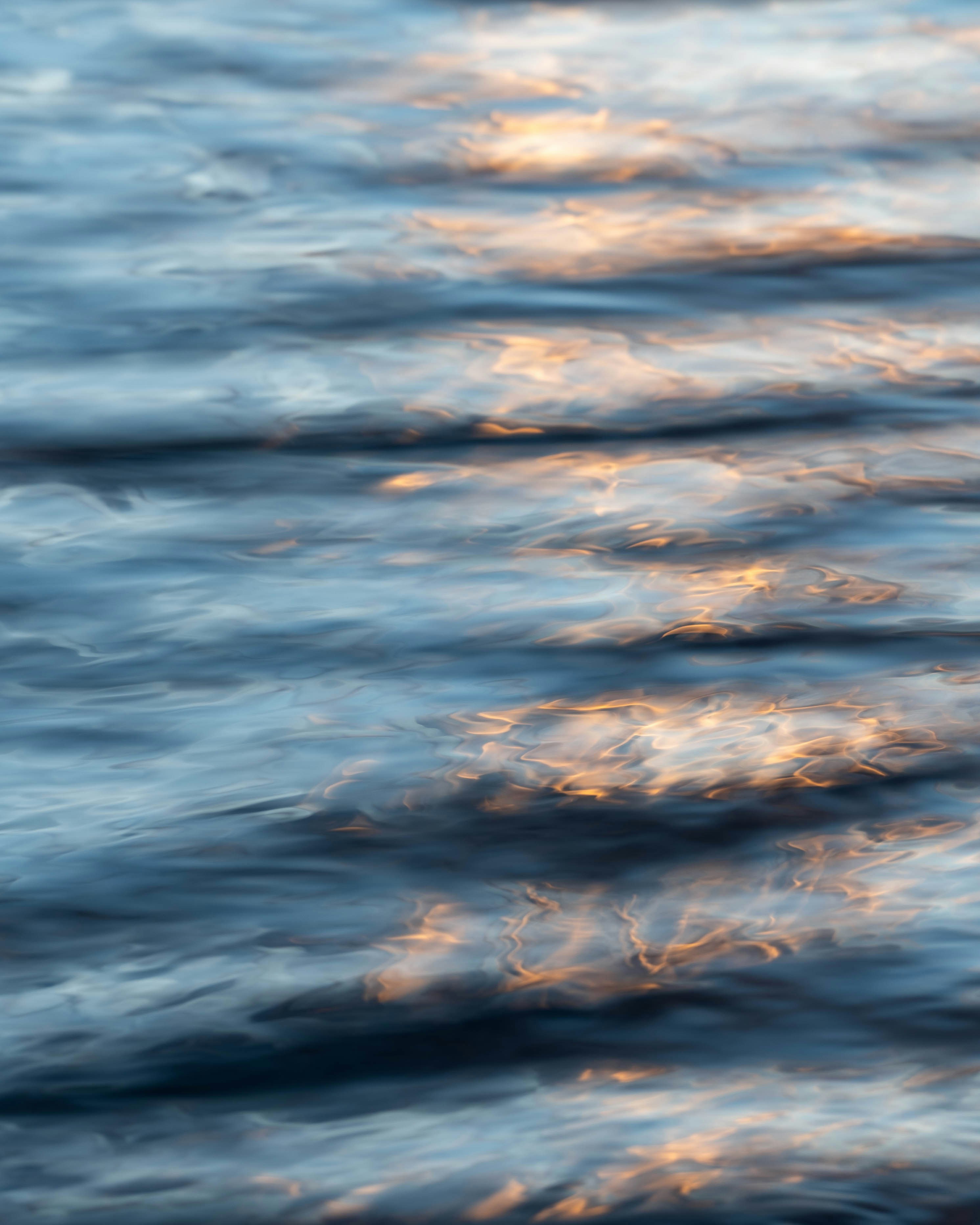 A bird flying over a body of water photo – Free Texture Image on Unsplash