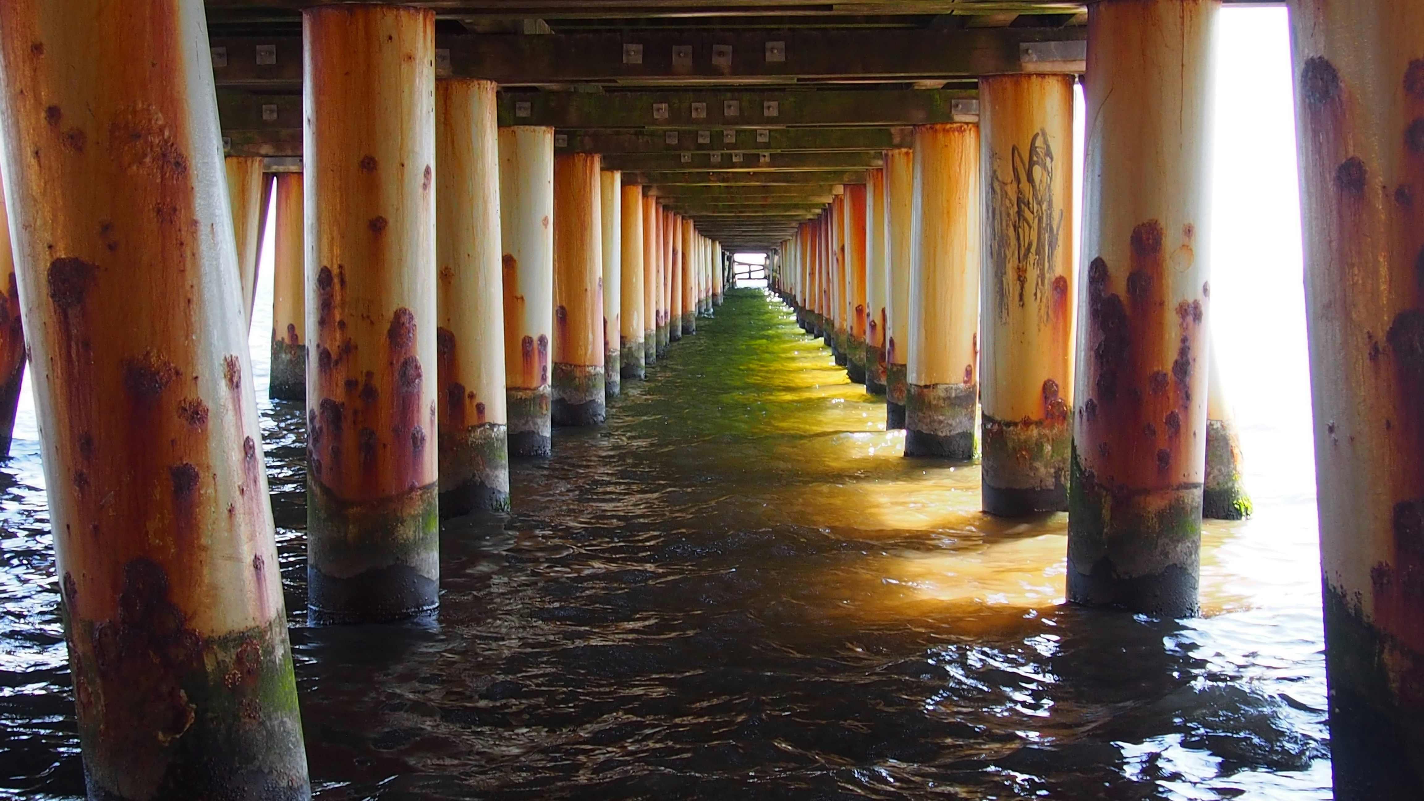 Wooden pier columns reflected in rippling water under bright sunlight.