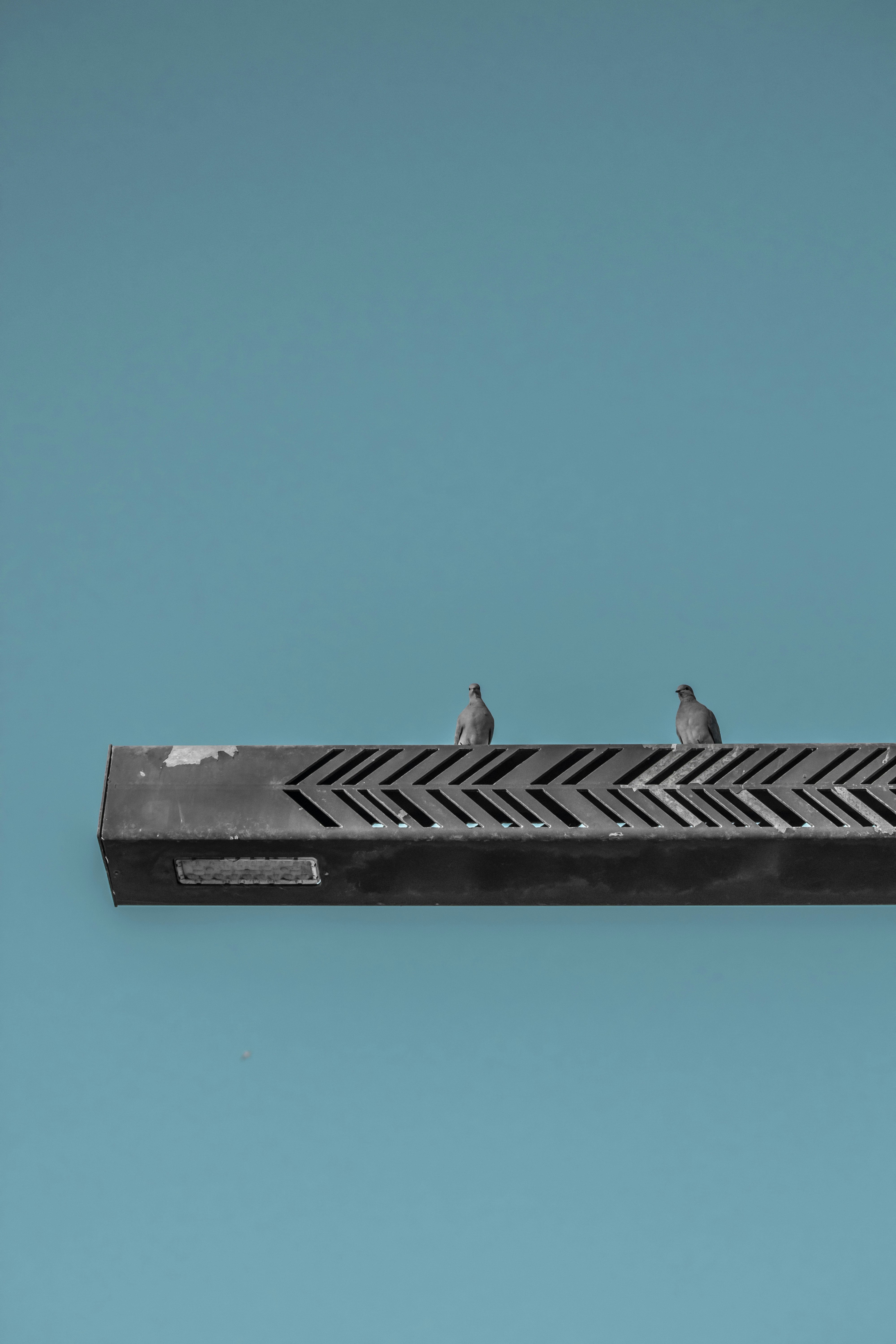 Two birds perched on a metallic ledge against a serene blue backdrop.