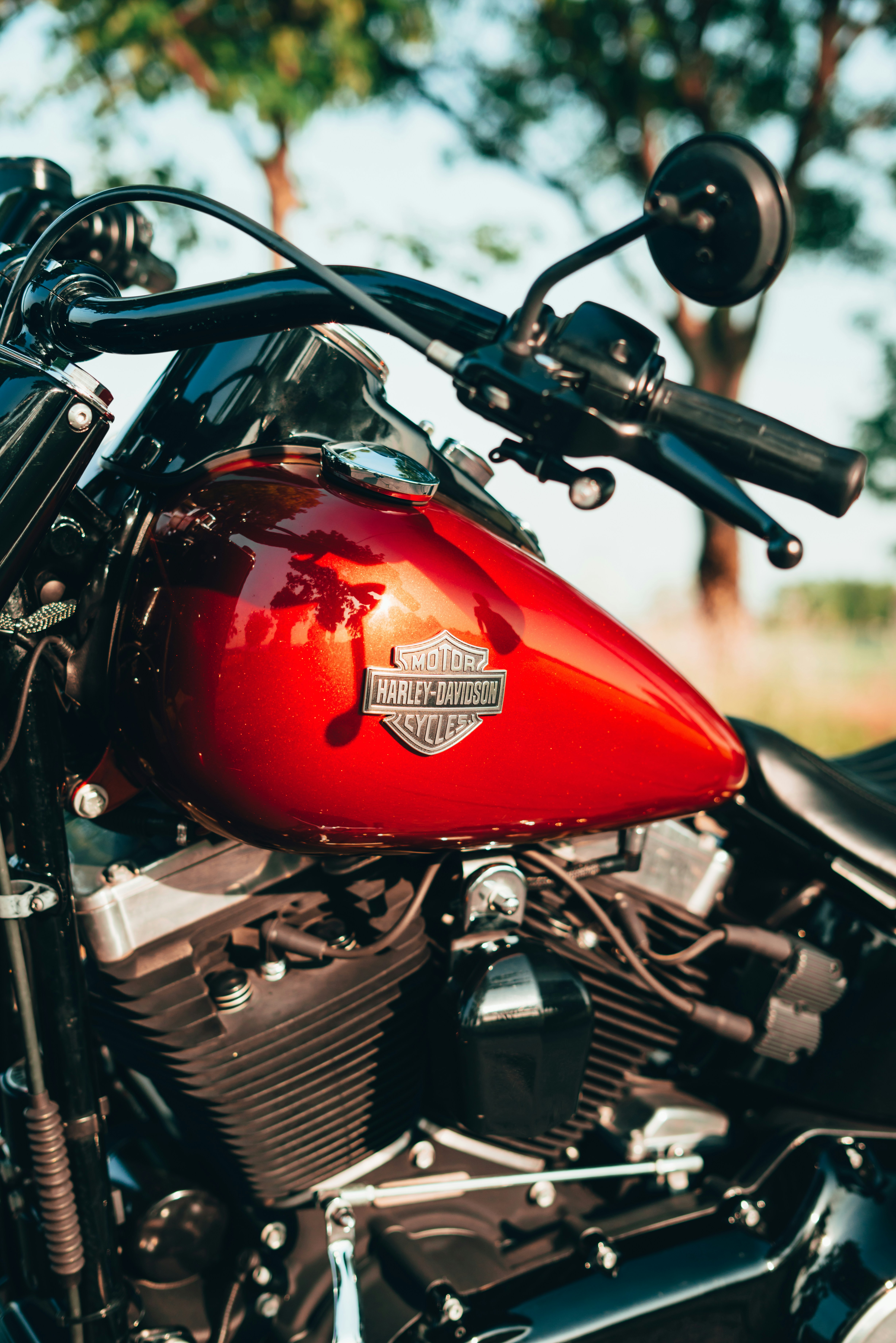 A red motorcycle with a black handlebar photo – Free Harley davidson ...
