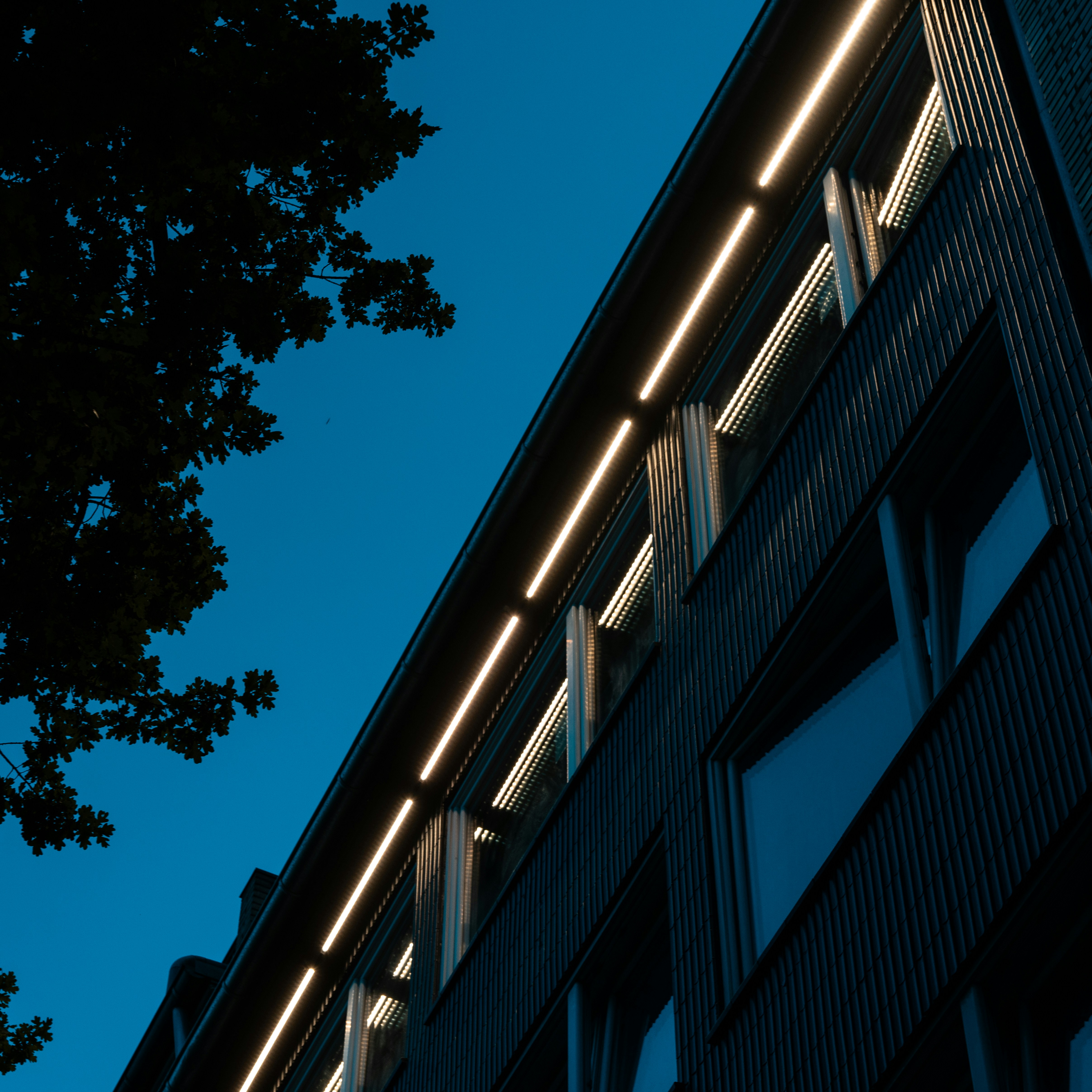 Photo by Lukas S with Sony Alpha 7R III