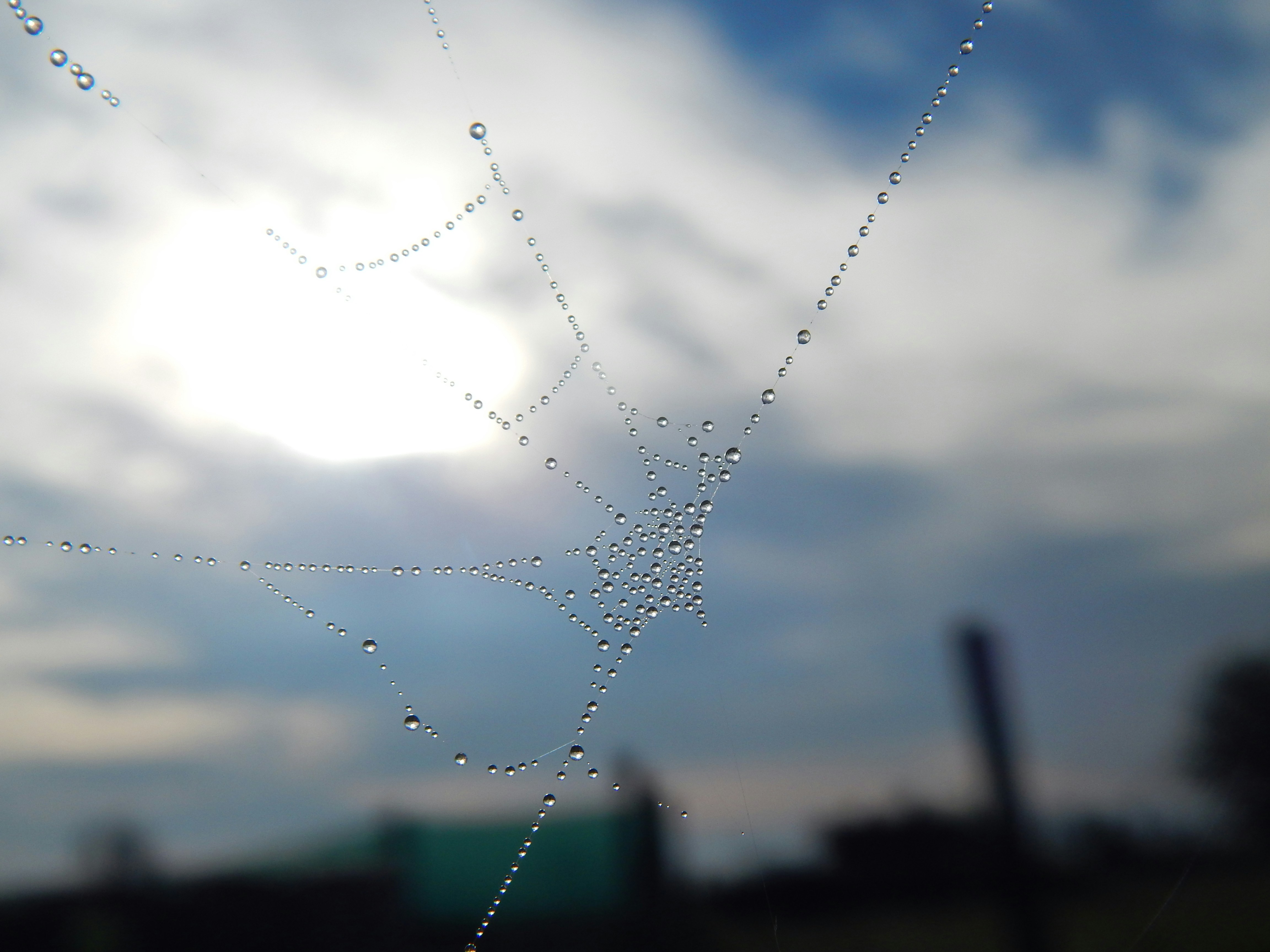 Intricate spiderweb adorned with dew drops against a cloudy sky, showcasing nature's delicate craftsmanship.