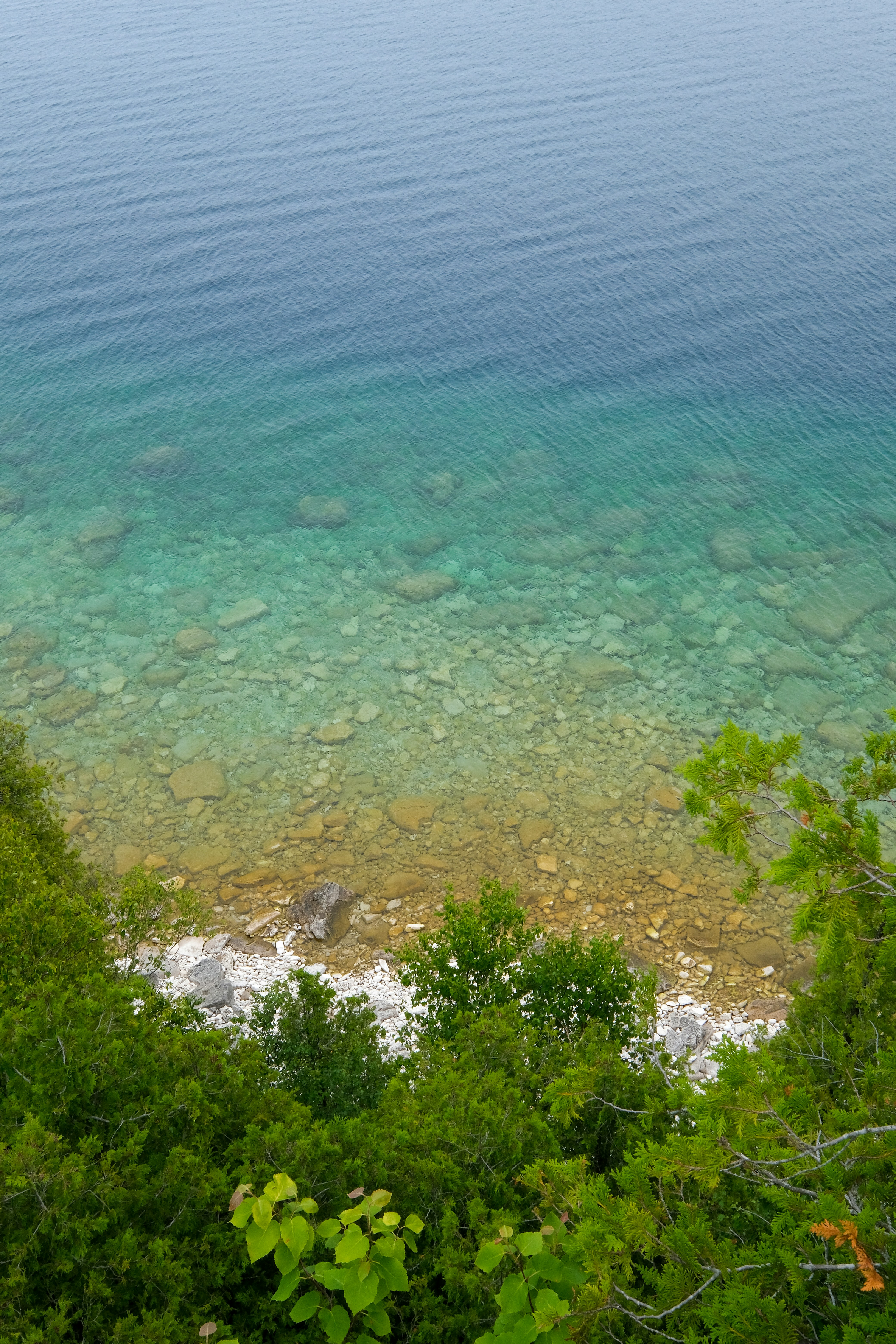 Verdant shoreline fades into turquoise depths along a cliffside