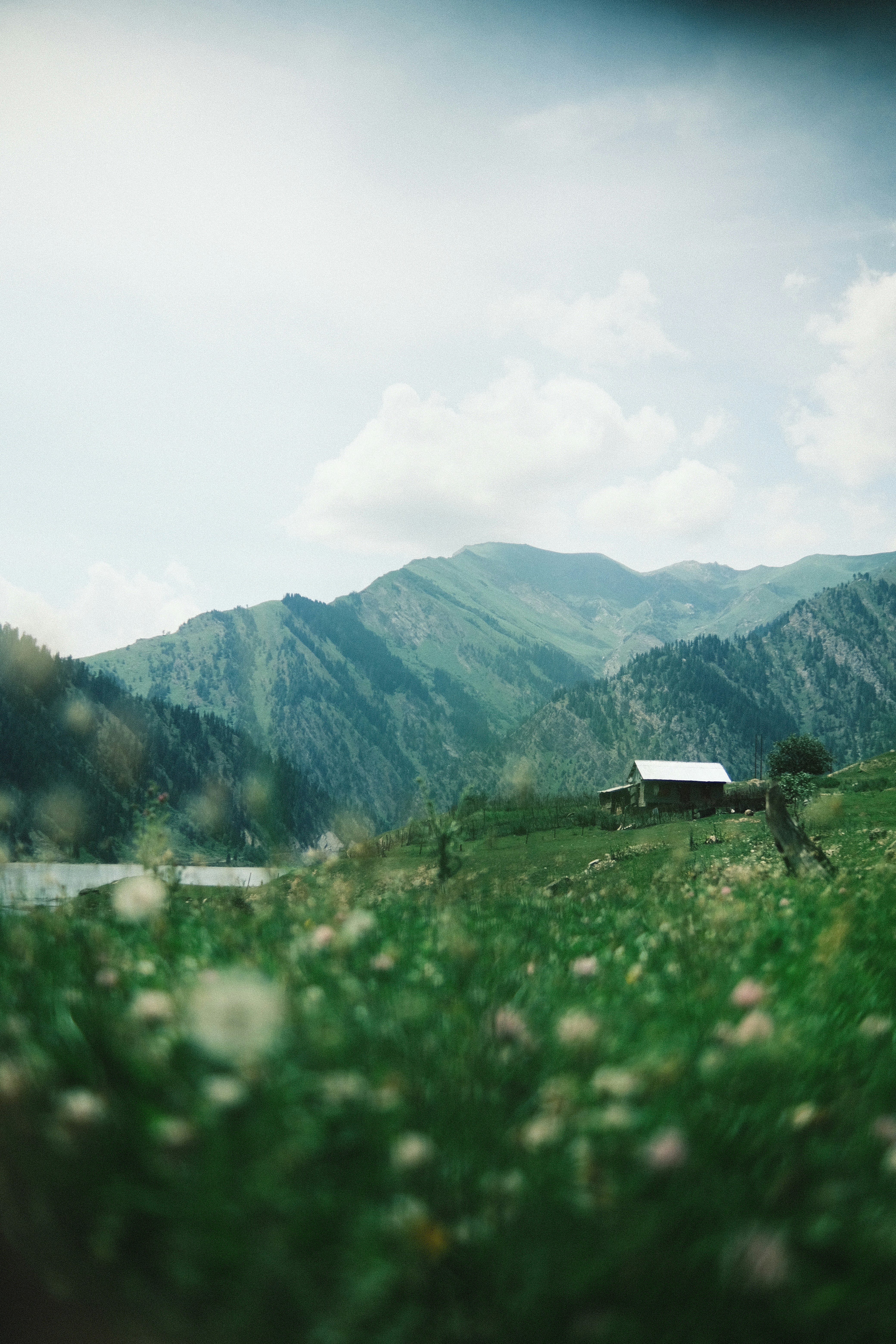 Green Ridge Barn: A Quiet Farmstead Between Alpine Slopes