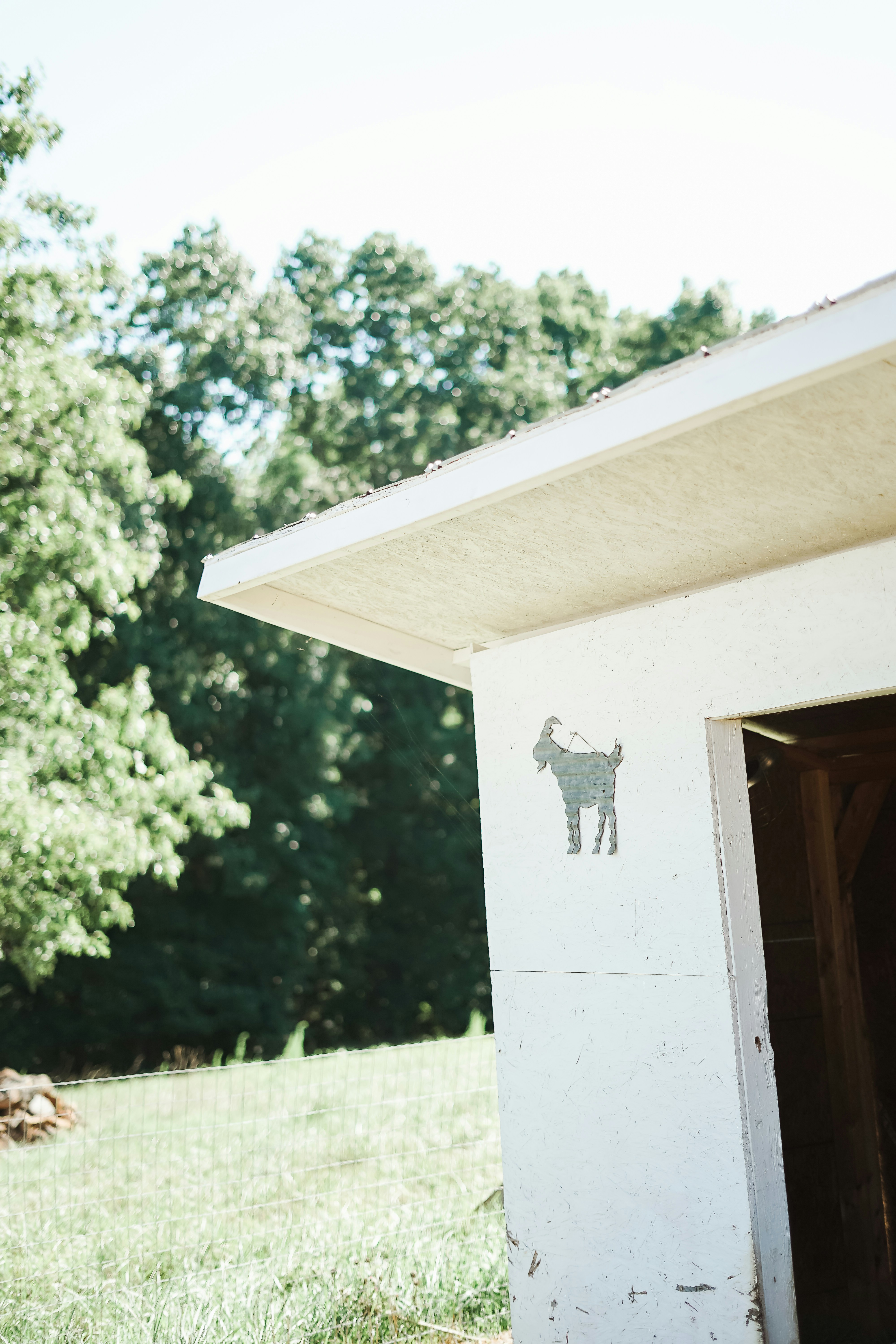 Sunlit Shed with Silhouette Horse Graffiti Framing a Quiet Farm Scene